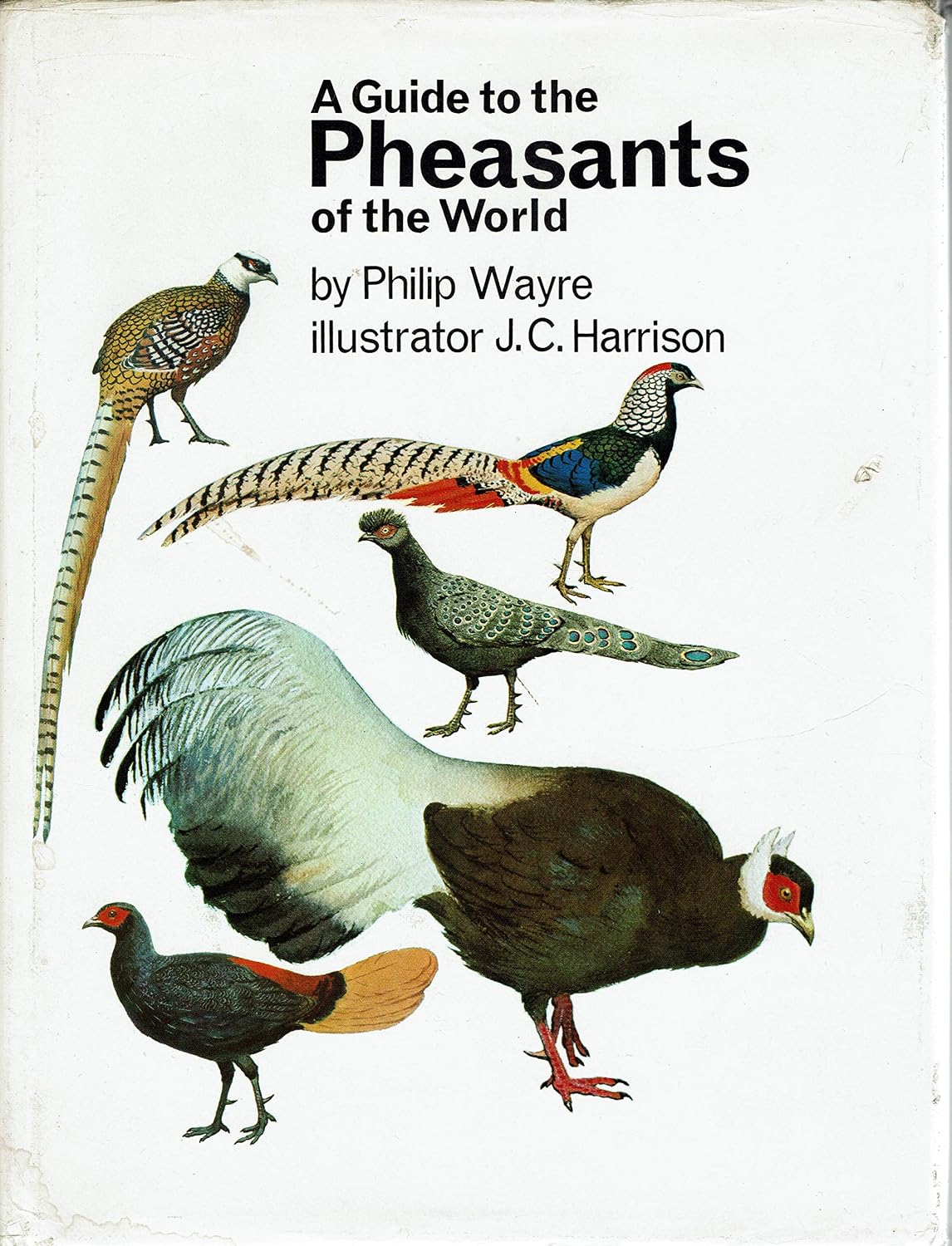 A guide to the pheasants of the world;: Philip Wayre: 9780600433507 ...