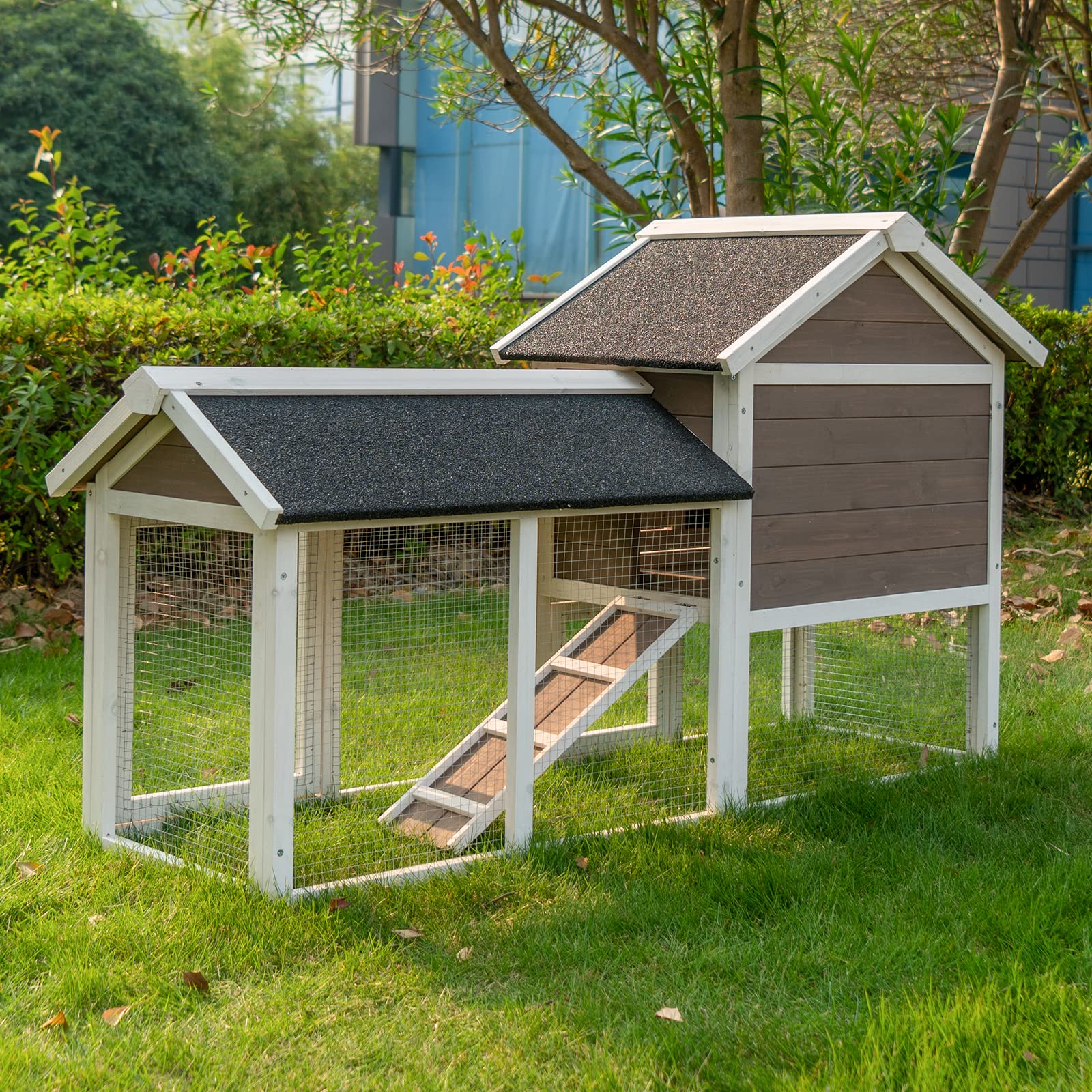 Buy Kinpaw 53" Chicken Coop, Outdoor Rabbit Hutch, Outside Hen House ...