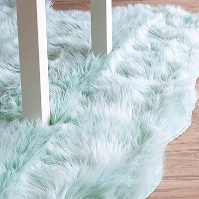 Amazon.com: Small Fluffy Colorful Rug for Bedroom Girls 3x5 Kawaii ...