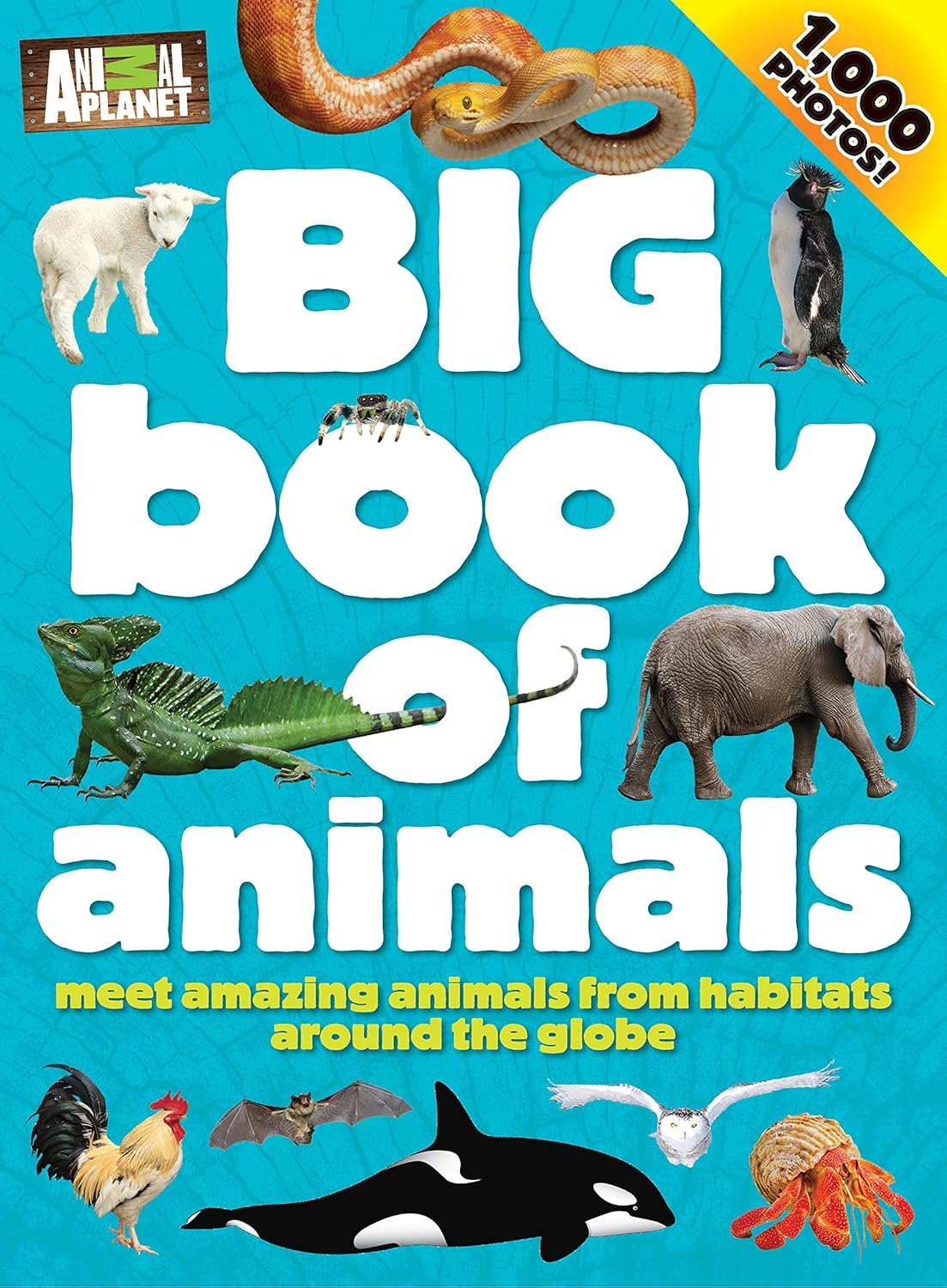 Buy Big Book of Animals: Meet Amazing Animals from Habitats Around the ...