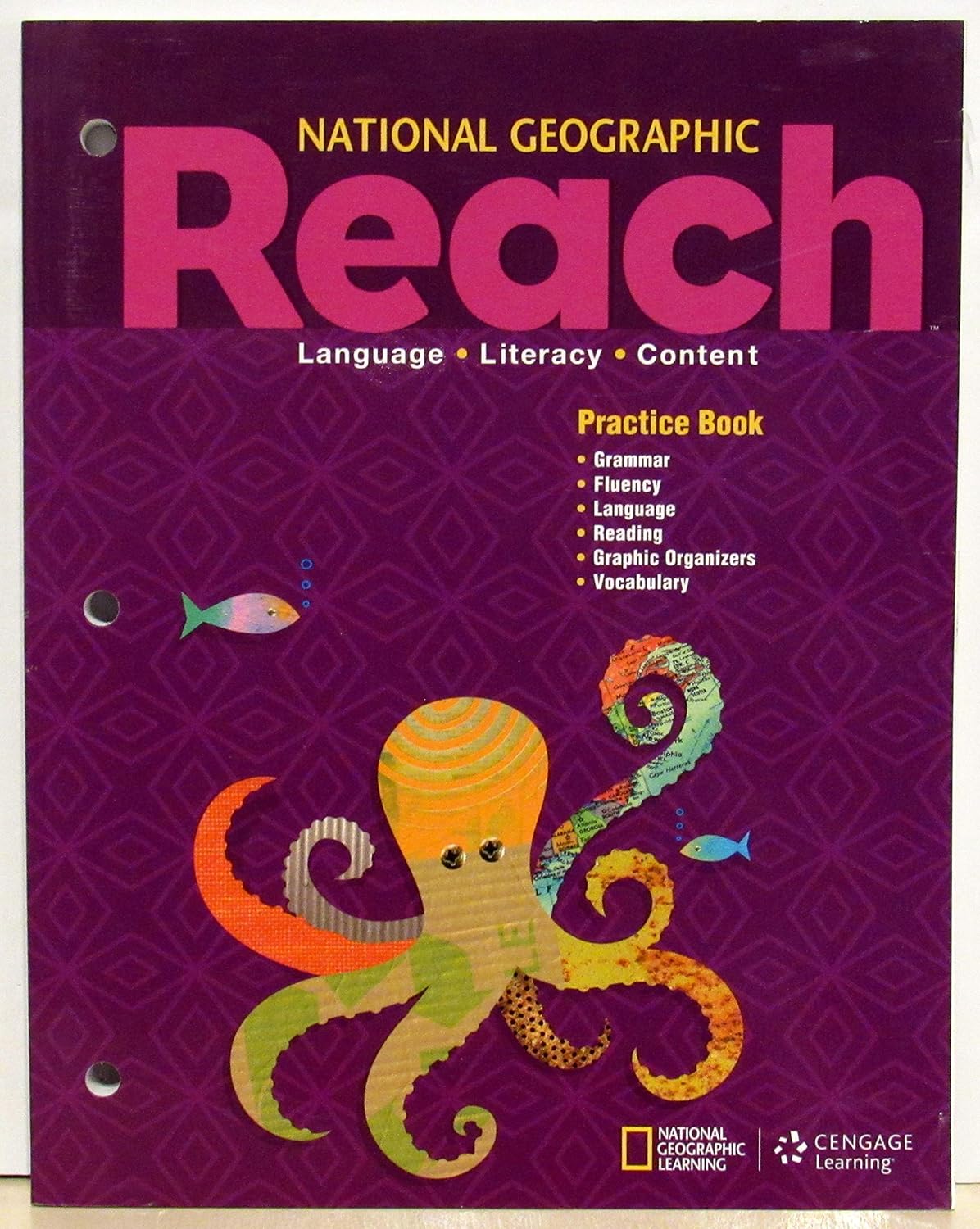 Reach C: Practice Book (Reach, Level C): National Geographic Learning ...