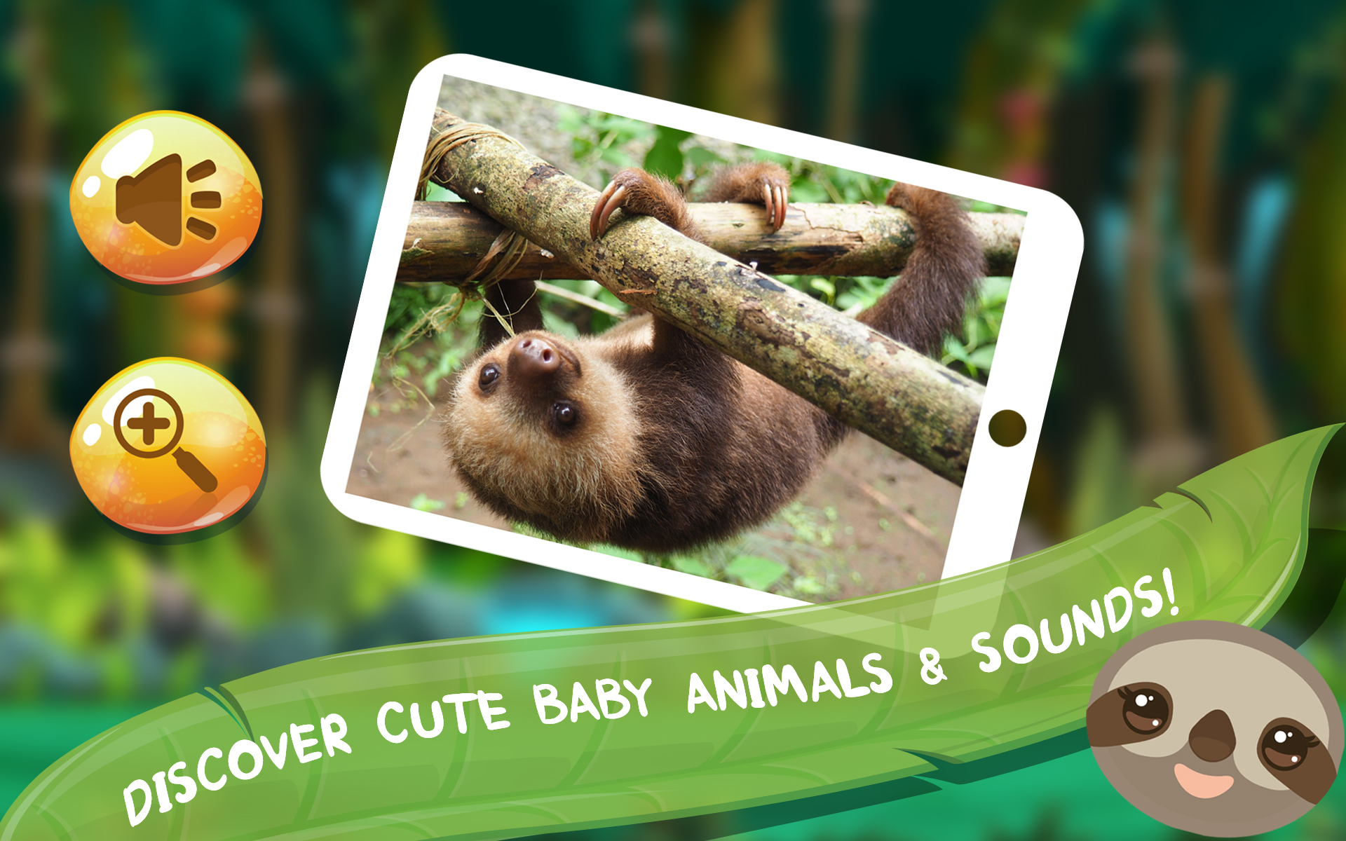 Baby Forest - Animal Sounds and Pictures - App on Amazon Appstore