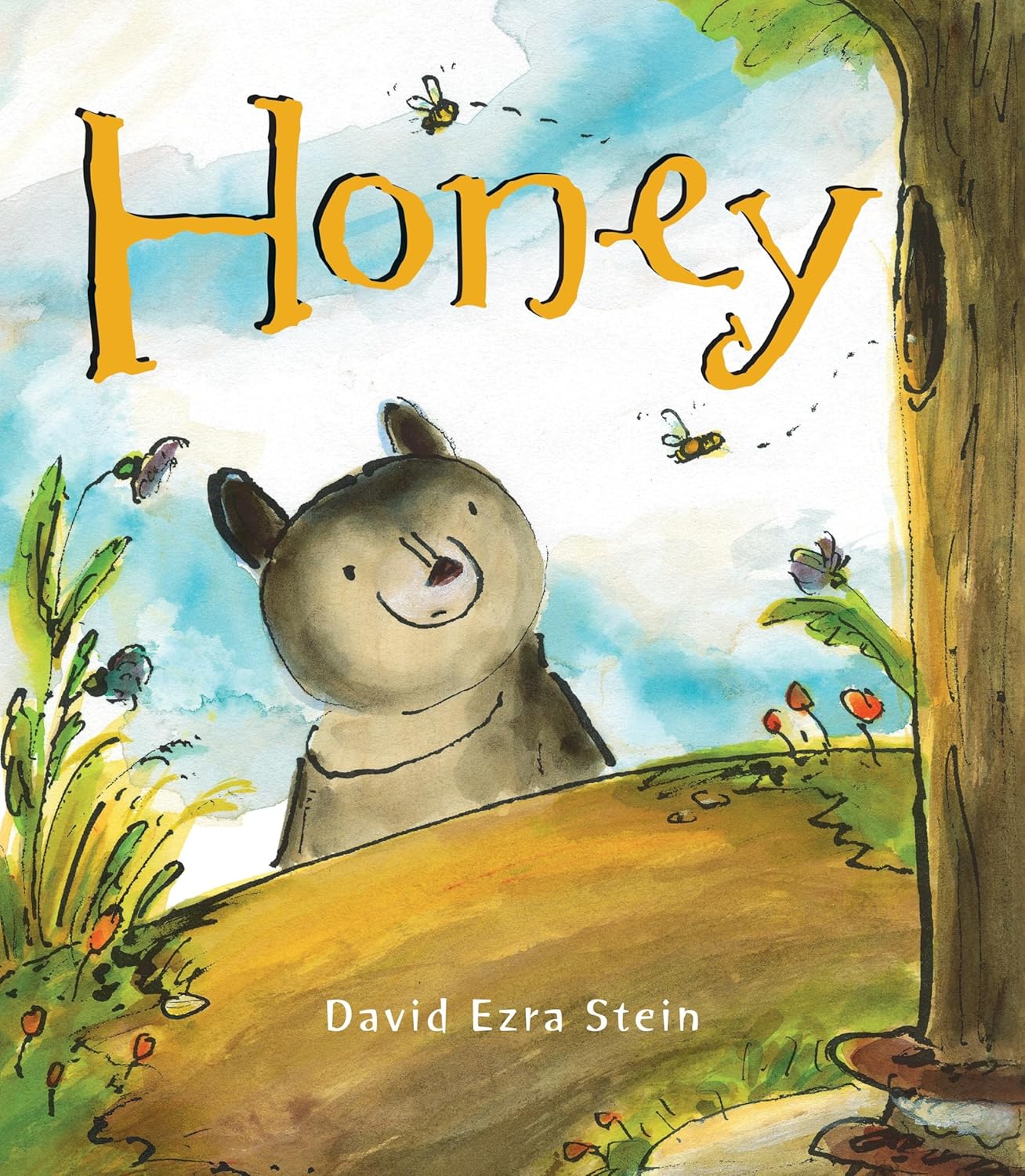 Amazon.com: Honey: 9781524737863: Stein, David Ezra, Stein, David Ezra ...