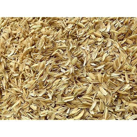 Amazon.com : Rice Hulls - Organic Use – 3lb - House Plants - Gardening ...