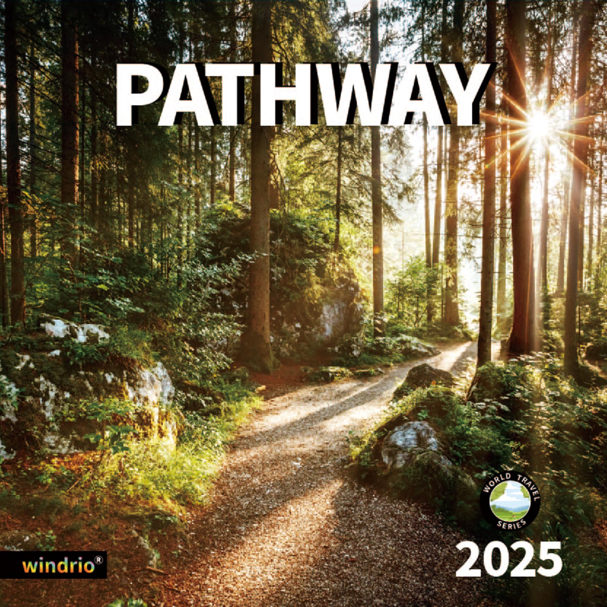 Buy 2025 Wall , 2025, November 2024 - December 2025, Wall Pathways, 12" x 24" Opened,Full Page ...