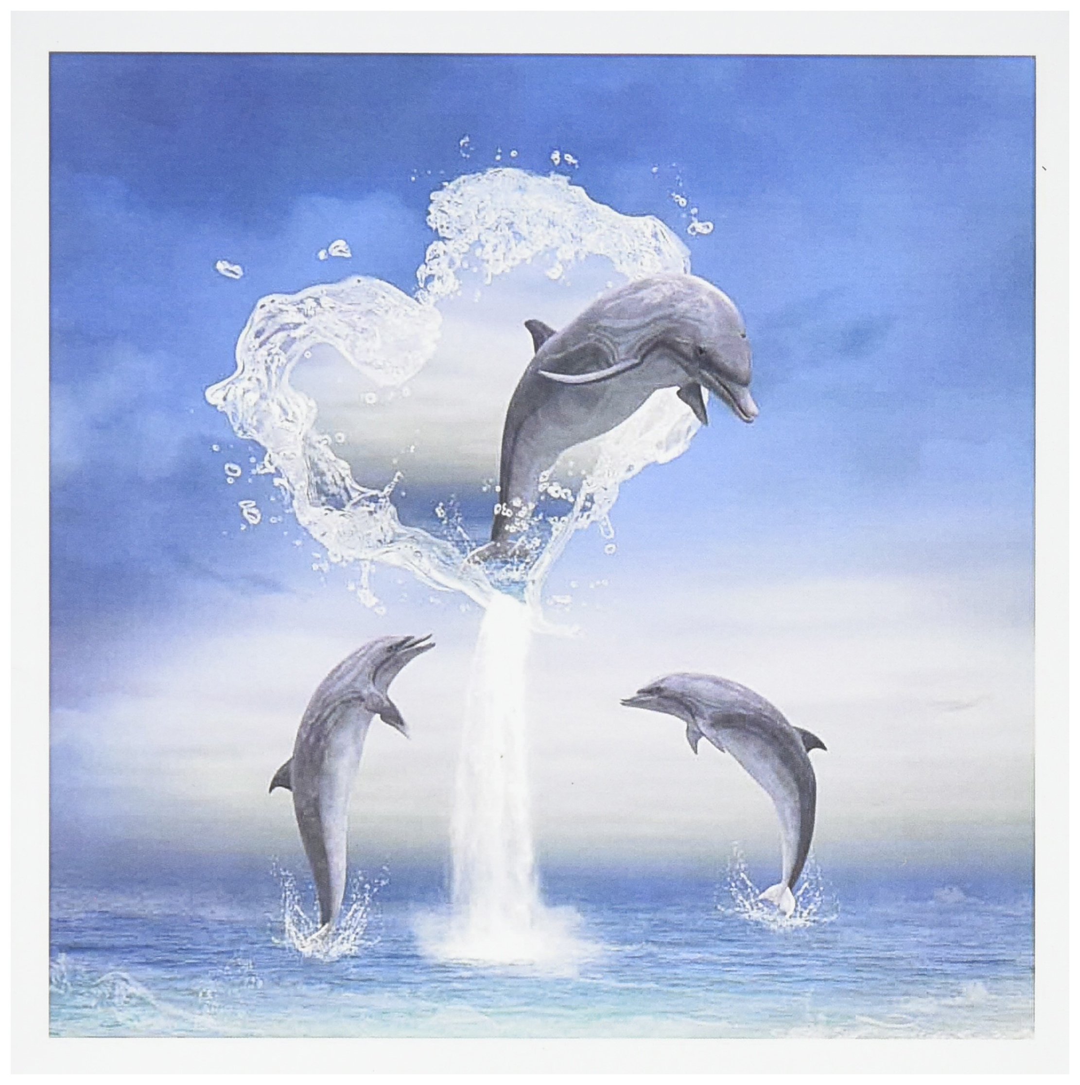 Dolphins Making A Heart