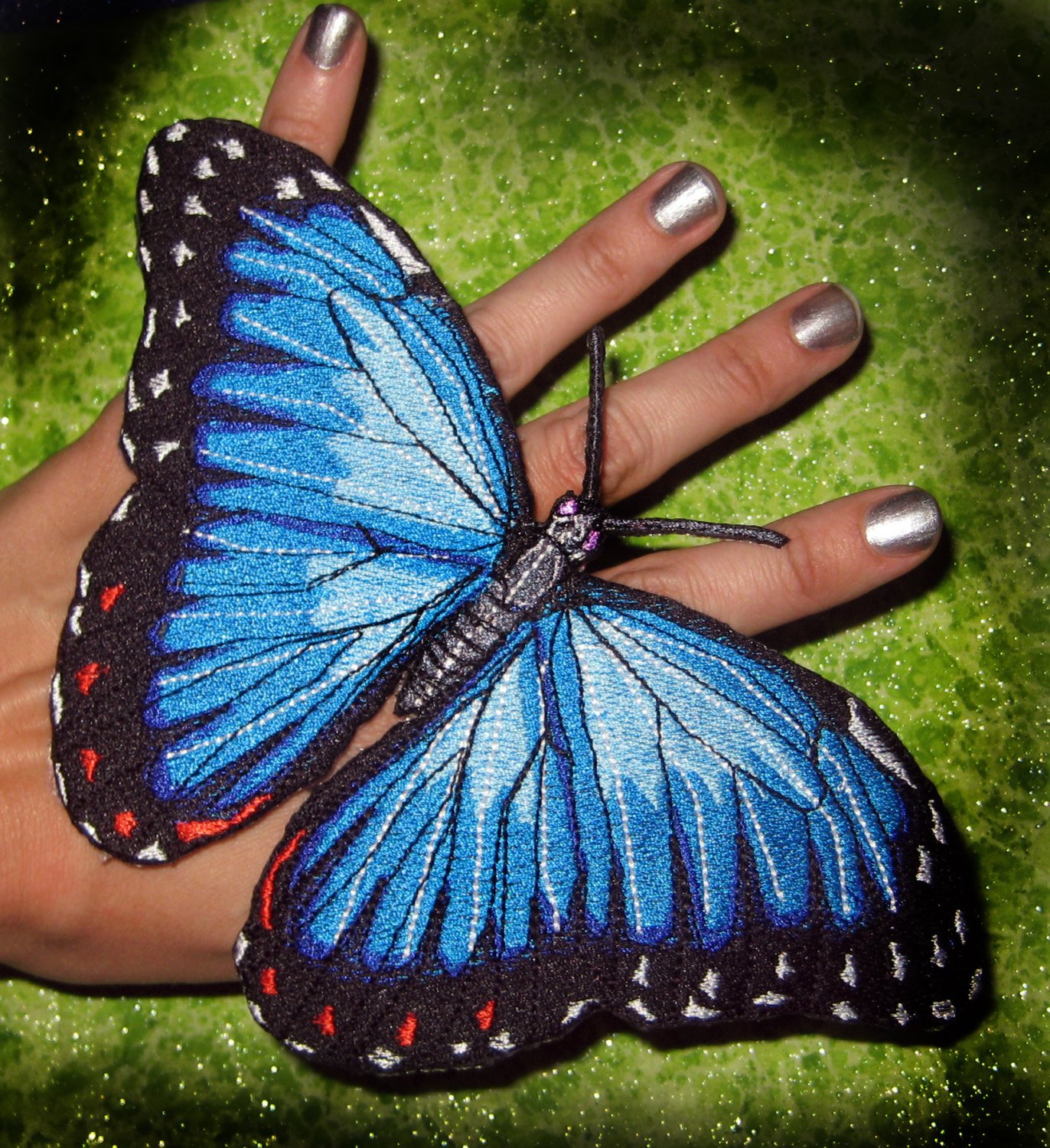 Blue Morpho Butterfly 1,000 Blue Butterflies Hatching At Museum Of