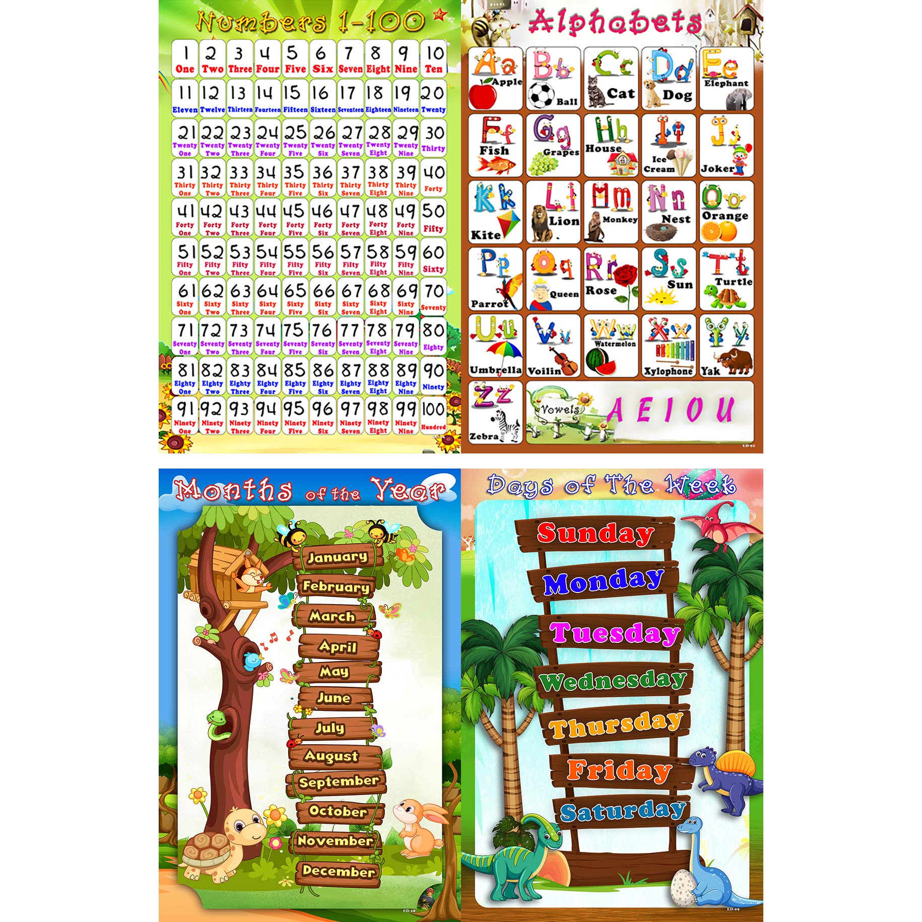 Buy Xpresssion Decor Paper ABC Alphabet, Number 1-100, Month of Year ...