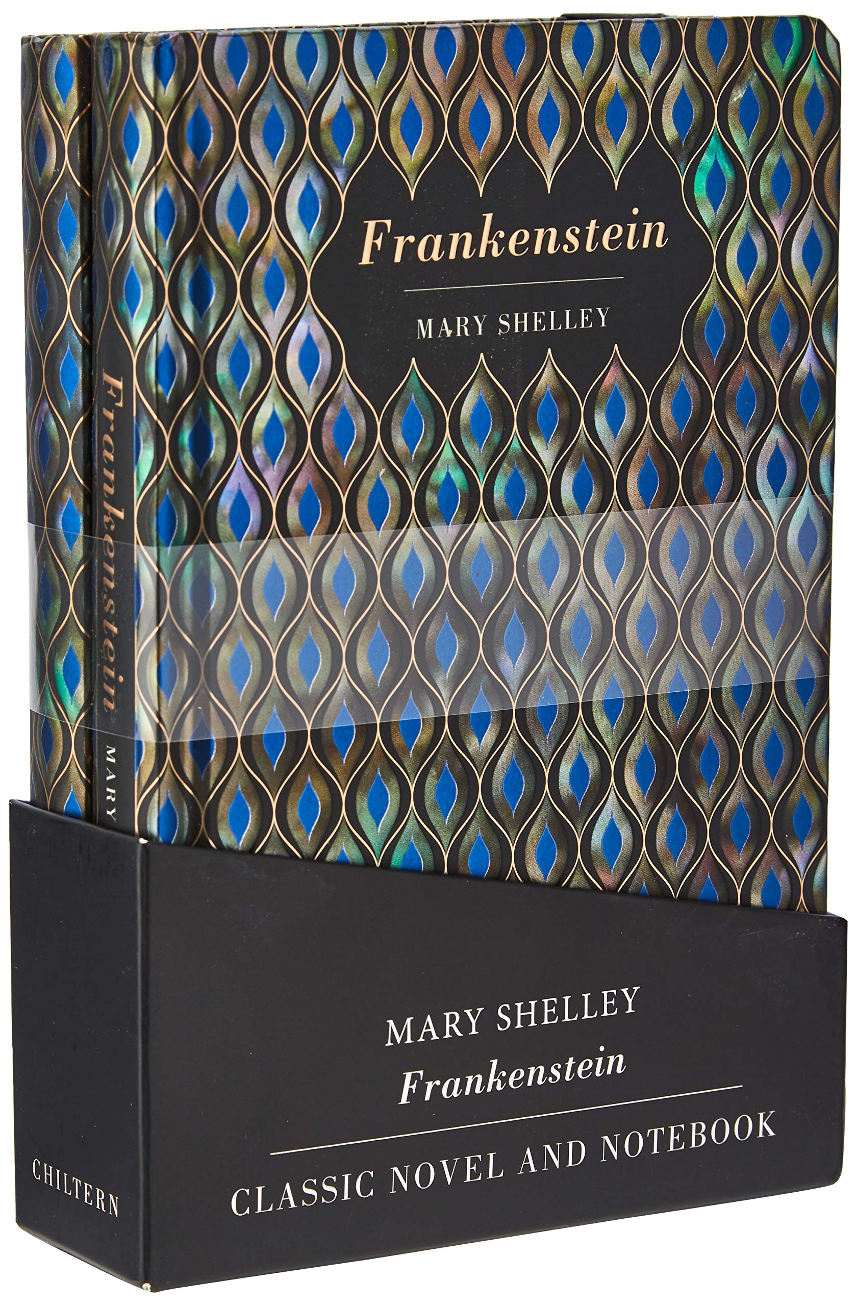 Amazon.com: Frankenstein Gift Pack - Lined Notebook & Novel (Chiltern ...