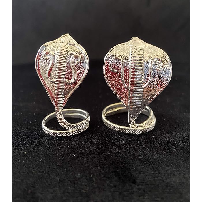 Buy Pair of Naag Devta, Naag & Naagan, for Naag Pacham, Lord Shiva ...