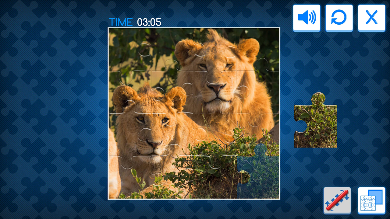 Jigsaw Puzzle Deluxe - App on Amazon Appstore
