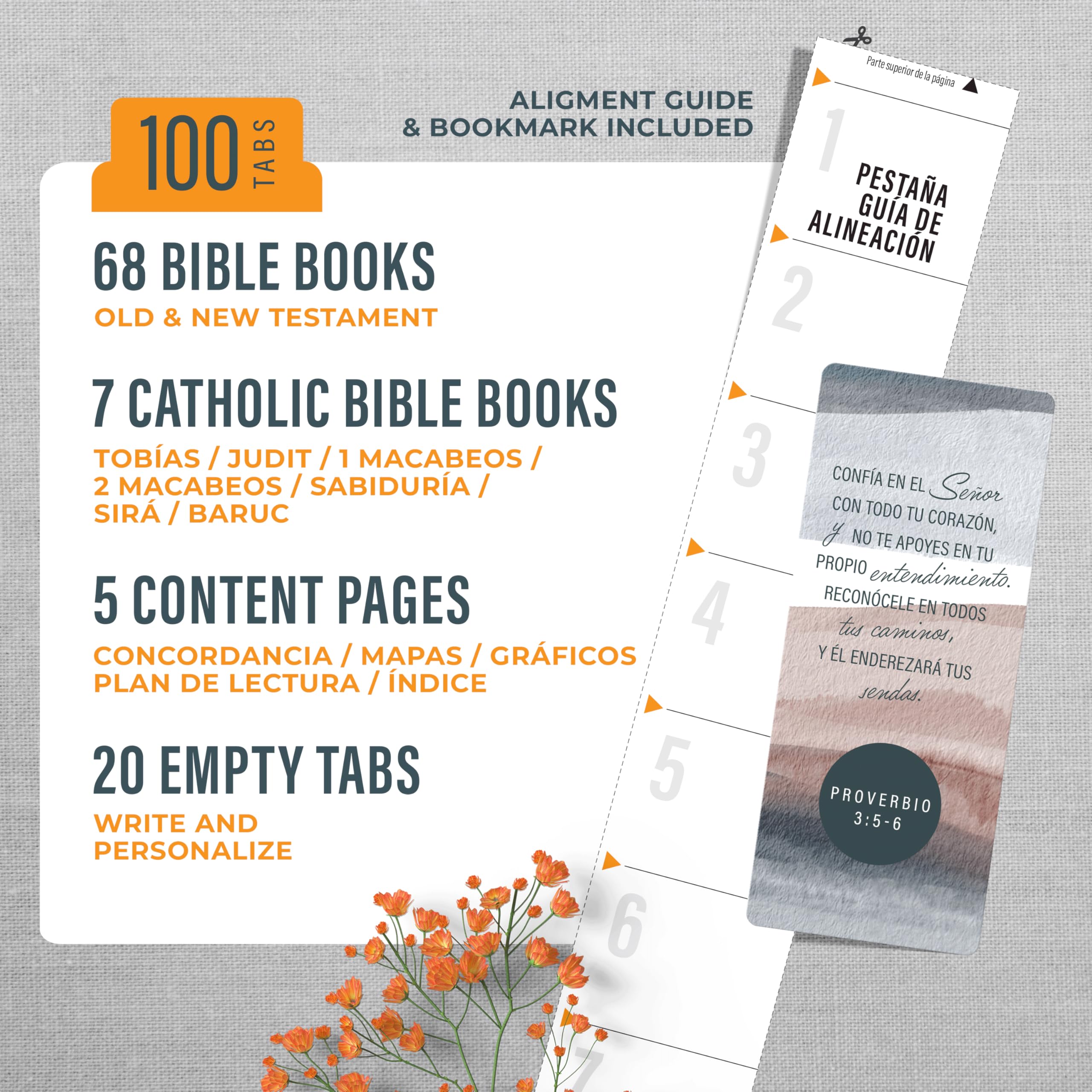 Snapklik.com : OFFILICIOUS Grey & Brown Spanish Catholic Bible Tabs For ...