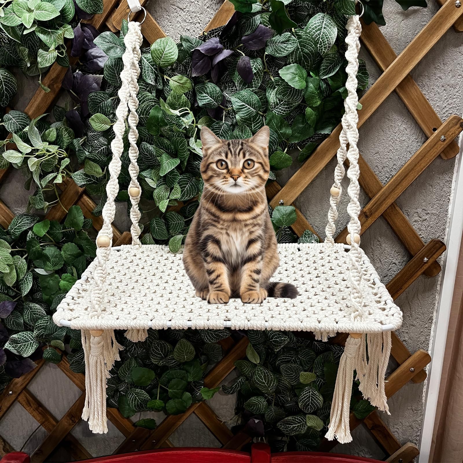 Amazon.com : TOYAFUN Cat Wall Hammock - Macrame Cat Swing Bed Cat Perch for Indoor Cats, Cat ...