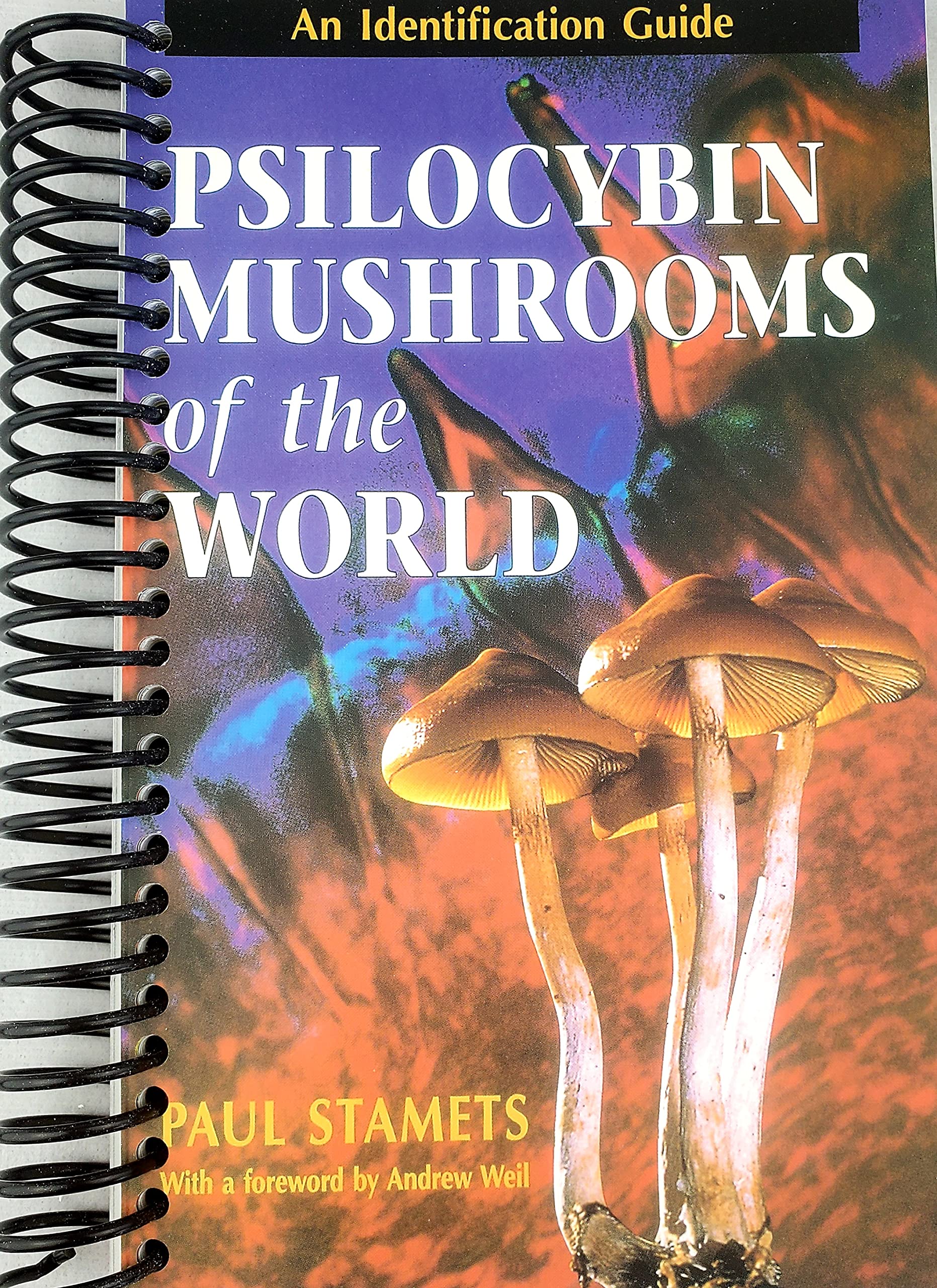 Psychedelic Mushroom Identification Guide Magic Mushrooms Are