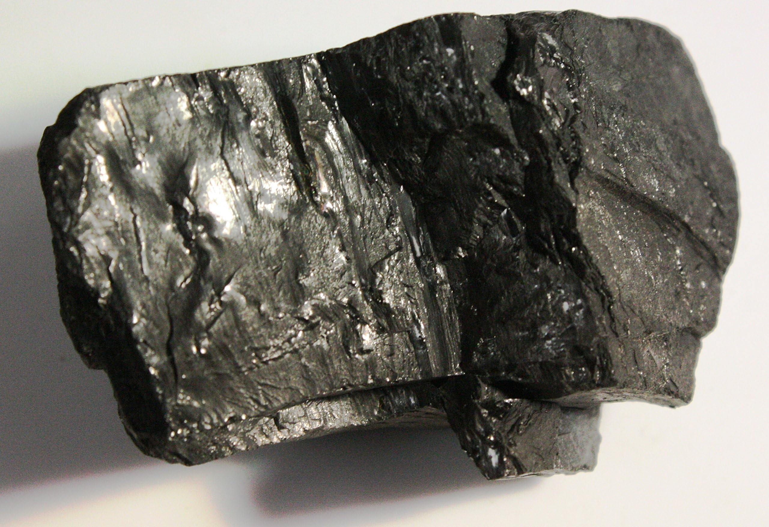Amazon.com: OnlineScienceMall Anthracite Coal - 2 Raw Pieces of Rock ...