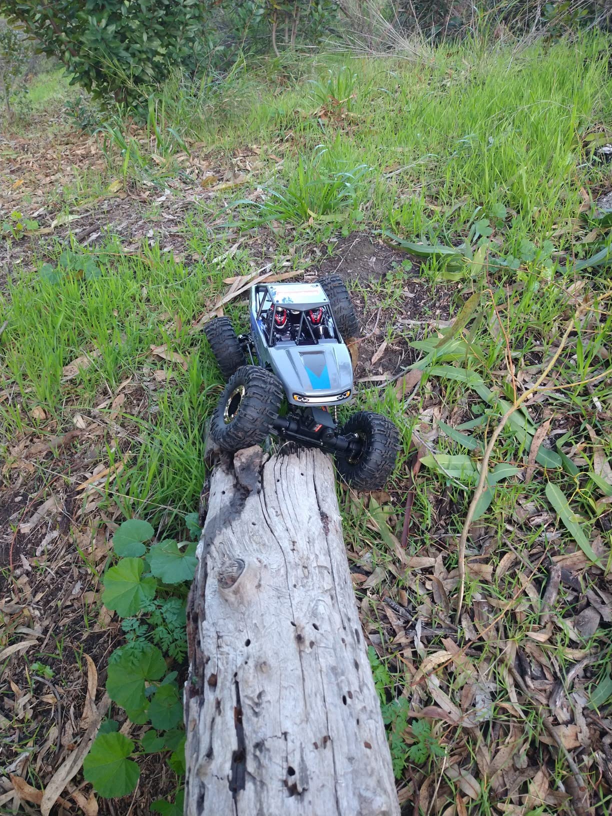 $22/mo - Finance DANCHEE RidgeRock - 4WD Electric Rock Crawler - 1/10 ...