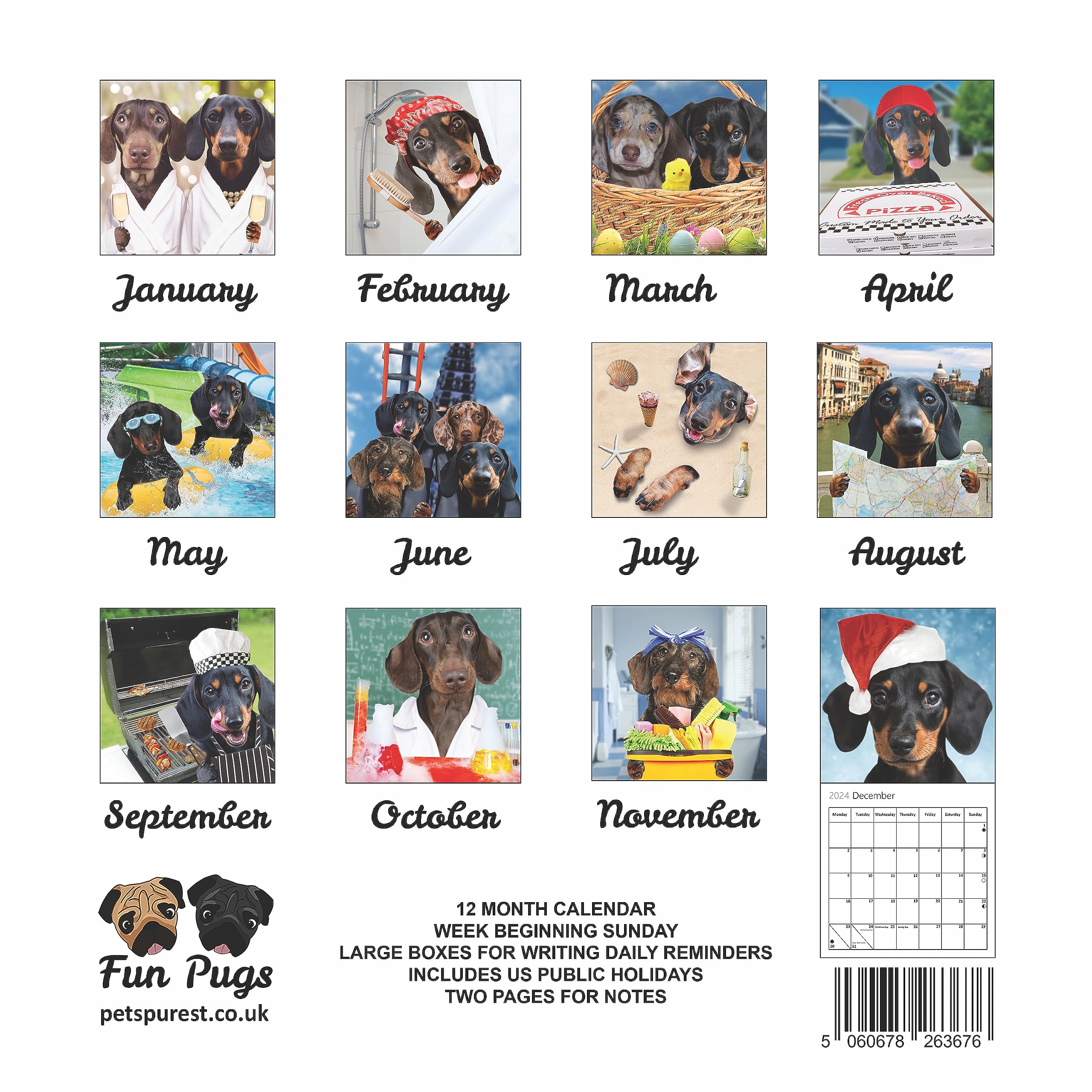 Snapklik.com : Fun Dachshunds Dog Wall Calendar 2024 - Large Family ...