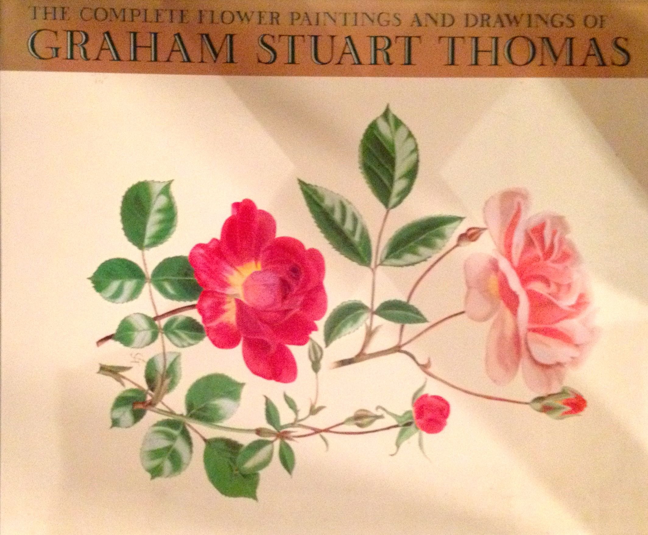 The Complete Flower Paintings and Drawings of Graham Stuart Thomas ...