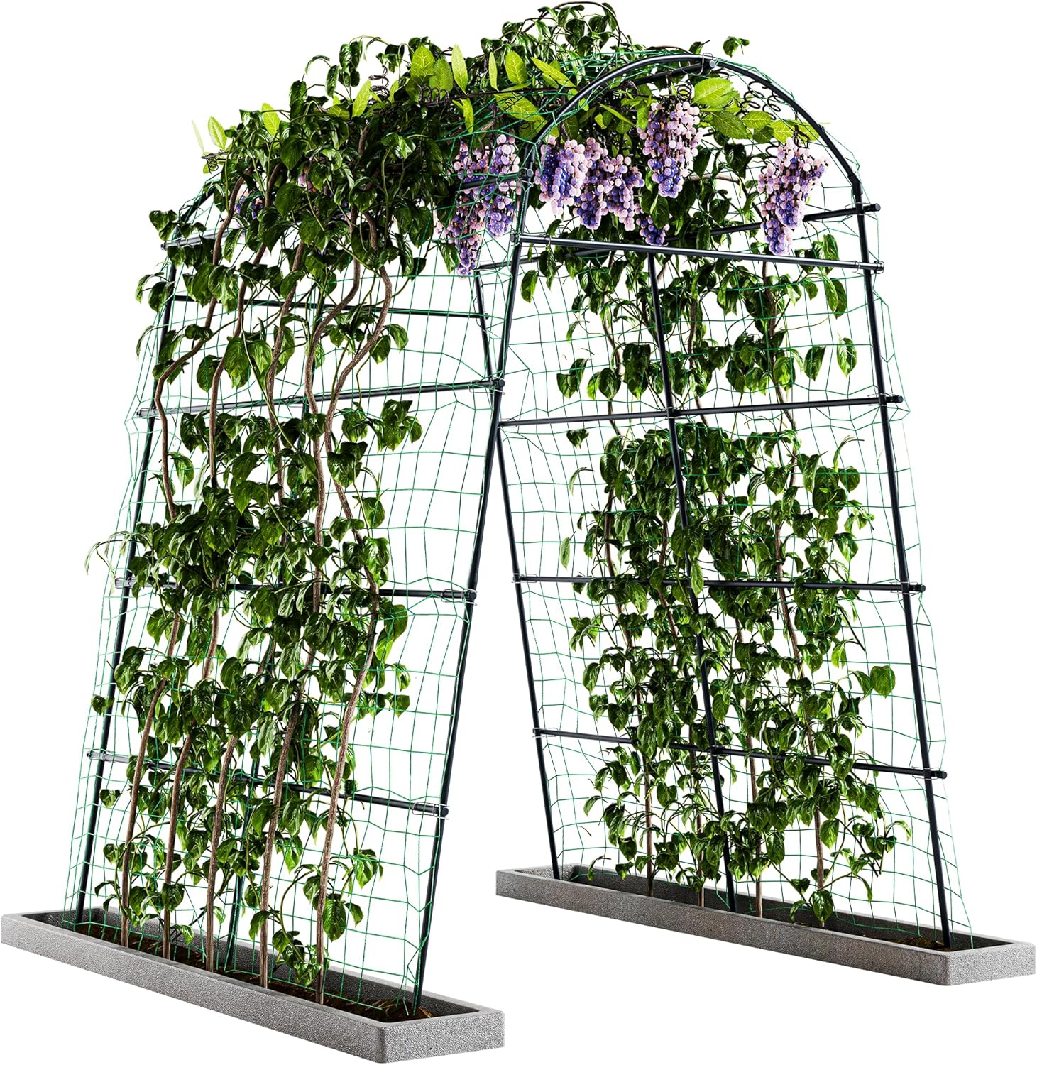 Amazon.com : Idzo Garden Arch Trellis, 88in Tall Stainless Steel Tunnel ...