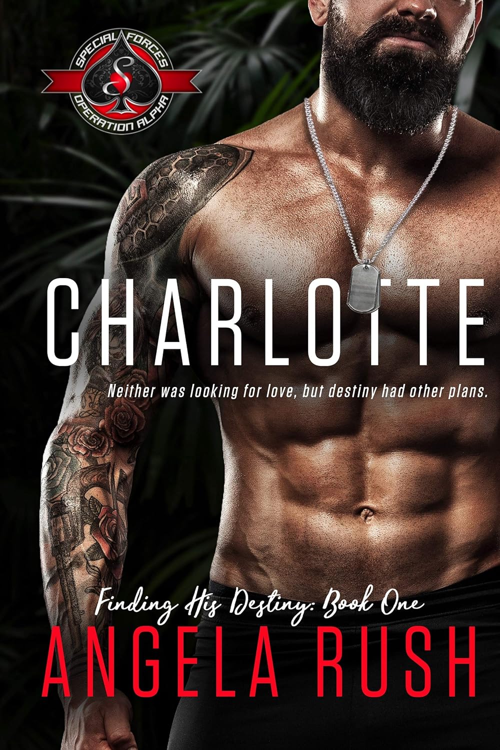 Charlotte (Special Forces: Operation Alpha) (Finding His Destiny Book 1 ...