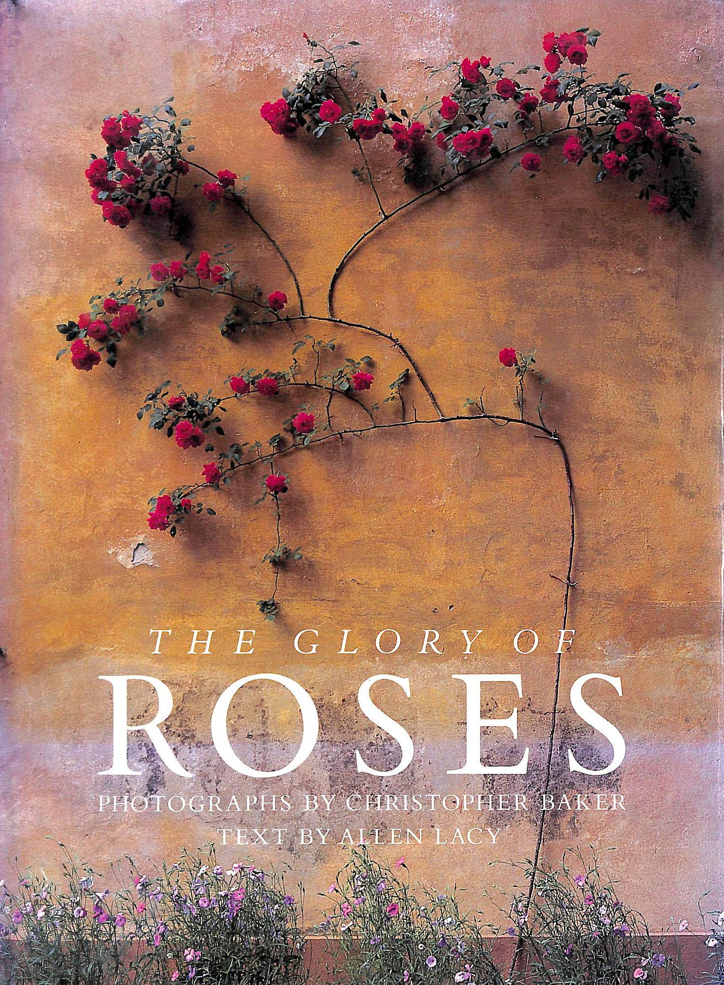 The Glory of Roses: Lacy, Allen, Baker, Christopher: 9781556701559 ...