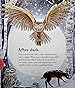 National Trust: Robins, Wrens and other British Birds (National Trust ...