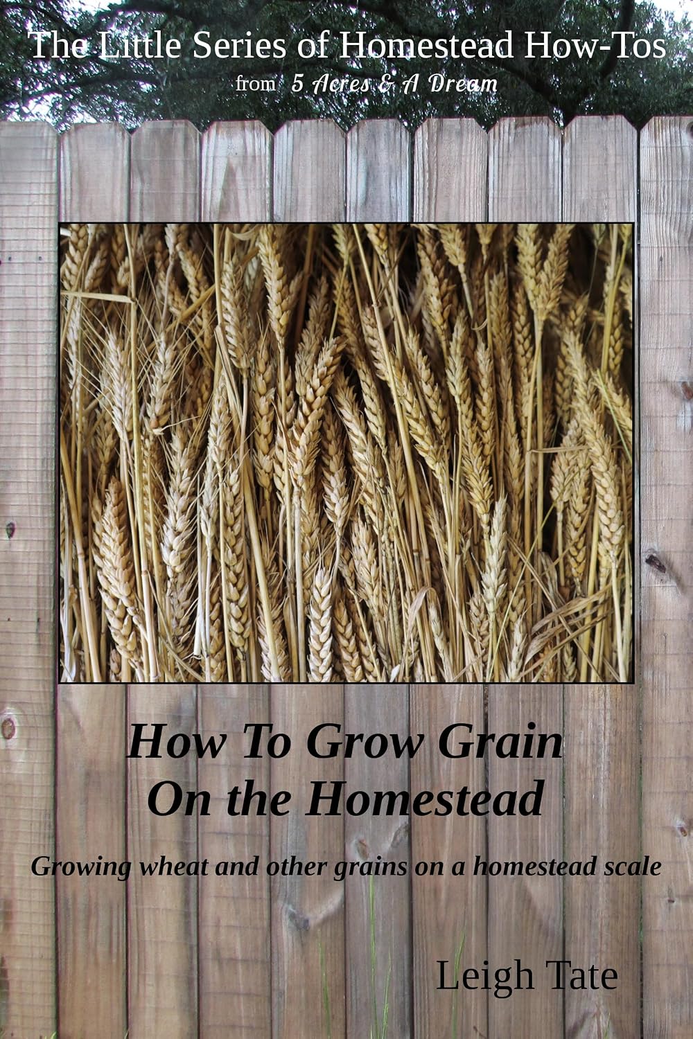 How To Grow Grain On the Homestead : Growing wheat and other grains on ...