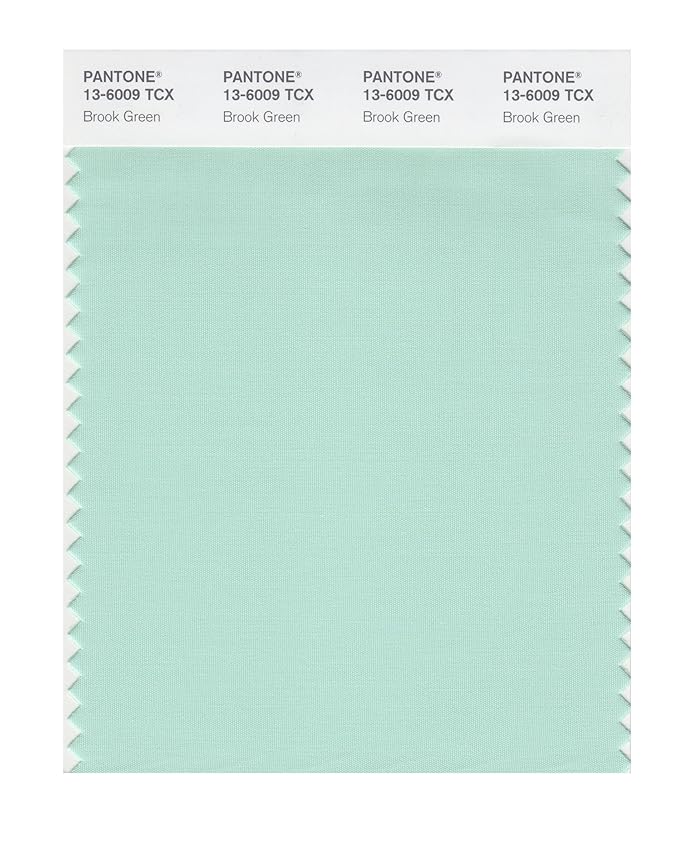 PANTONE Smart 13-6009X Color Swatch Card, Brook Green : Amazon.in: Home ...