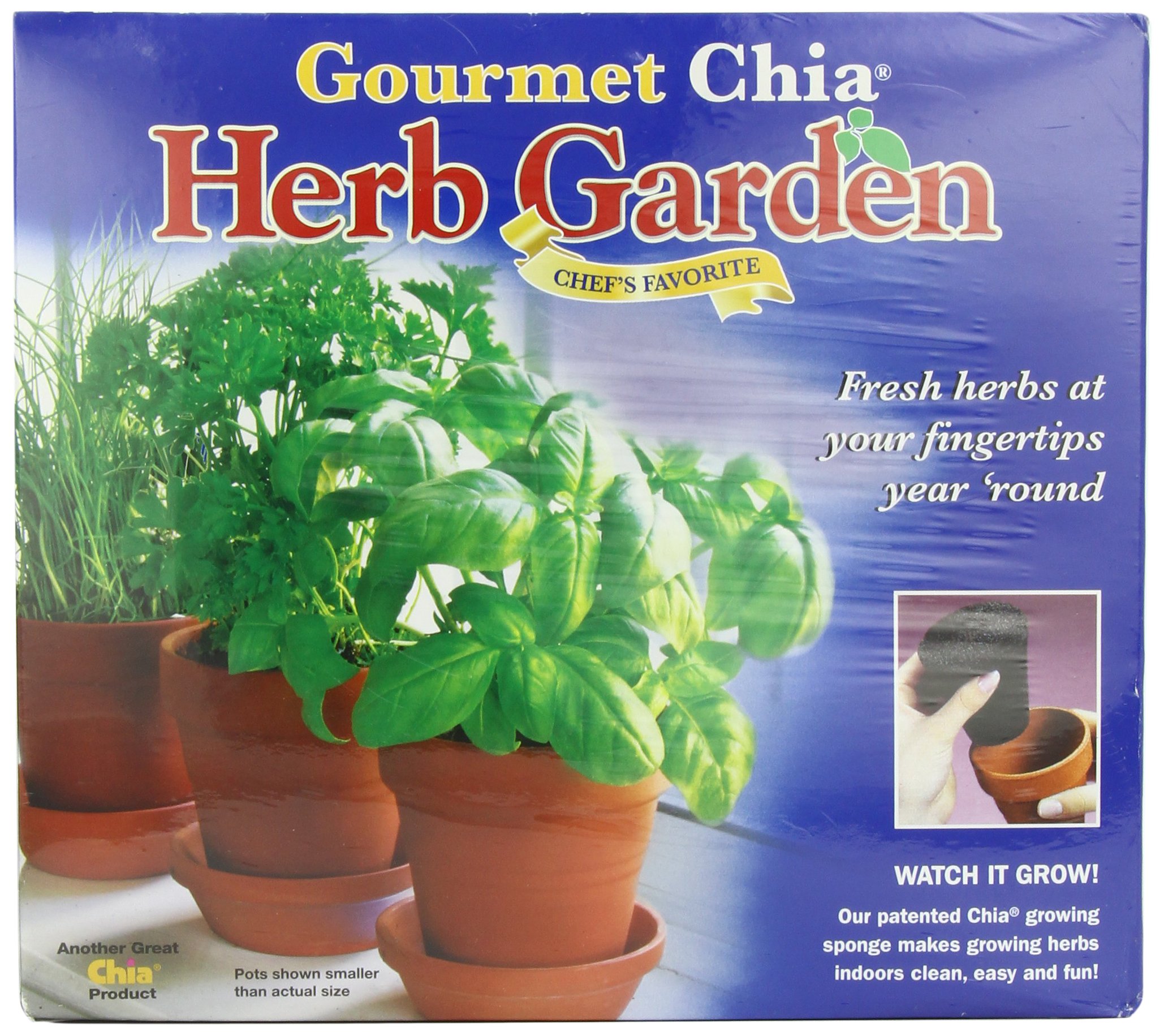 Chia Vegetable Garden Kits Chef's Favorite Gourmet Chia Herb Garden As