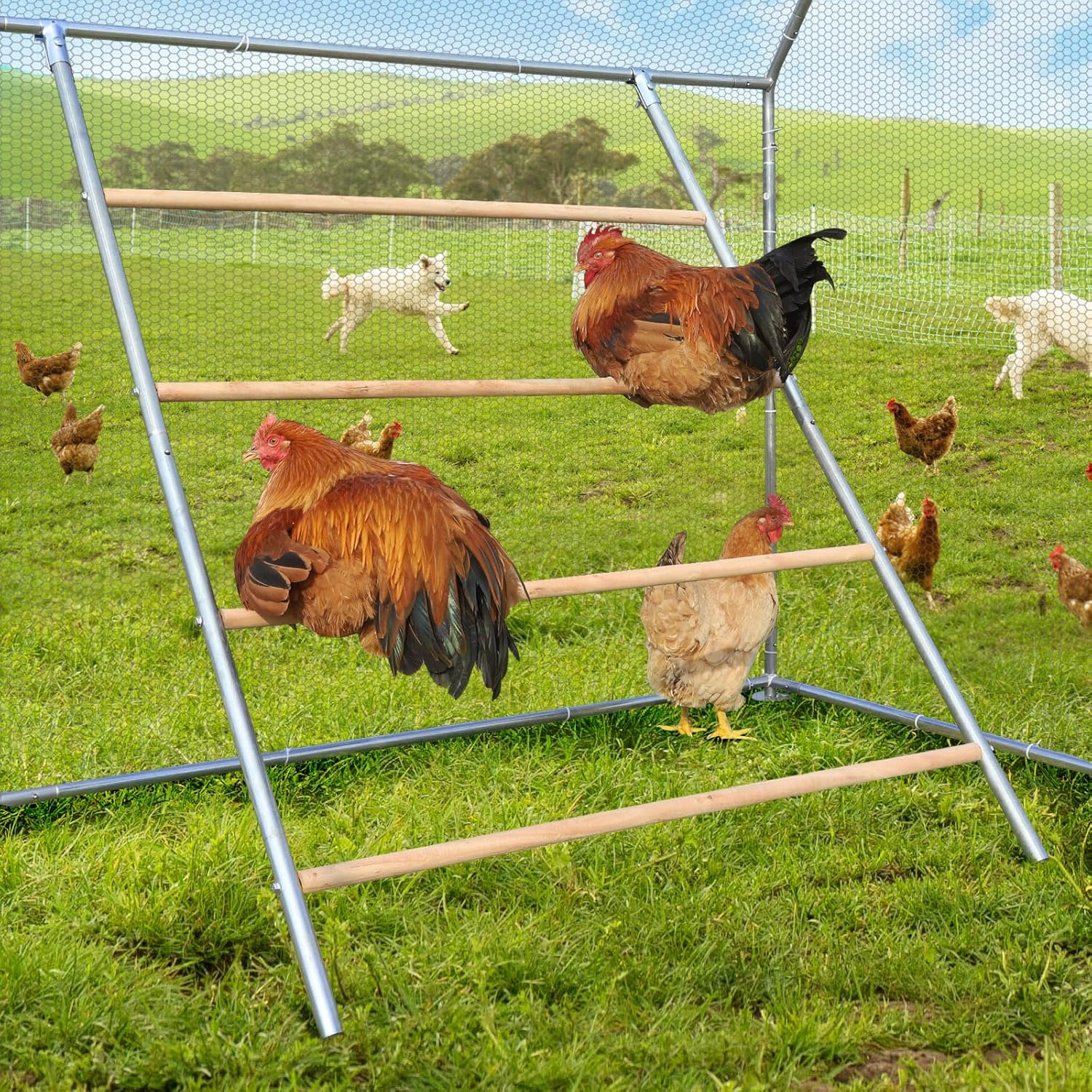 Amazon.com: Oranland Chicken Perch,Chicken Coop Roosting Perch ...