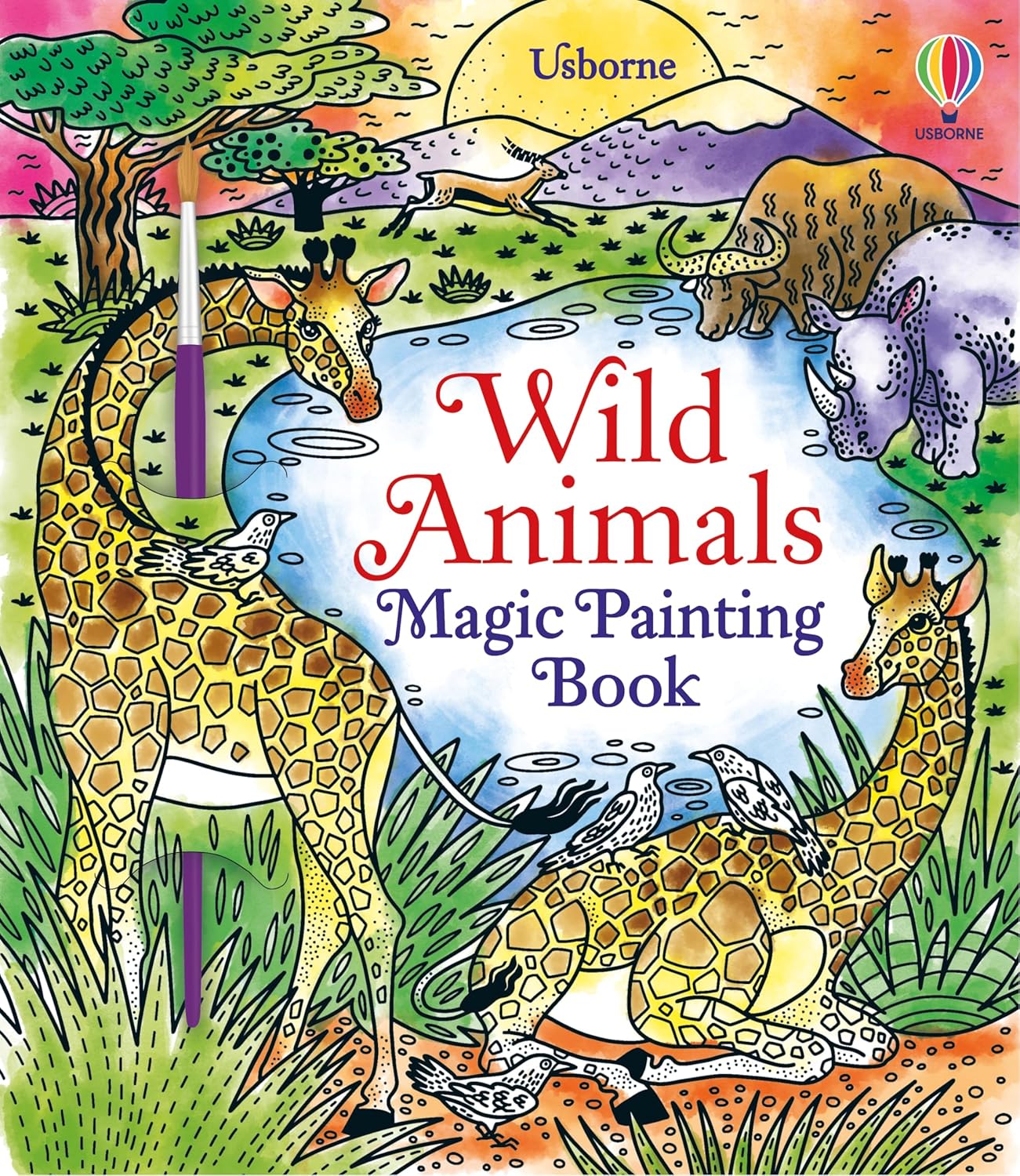 Wild Animals Magic Painting Book (Magic Painting Books): Baer, Sam ...