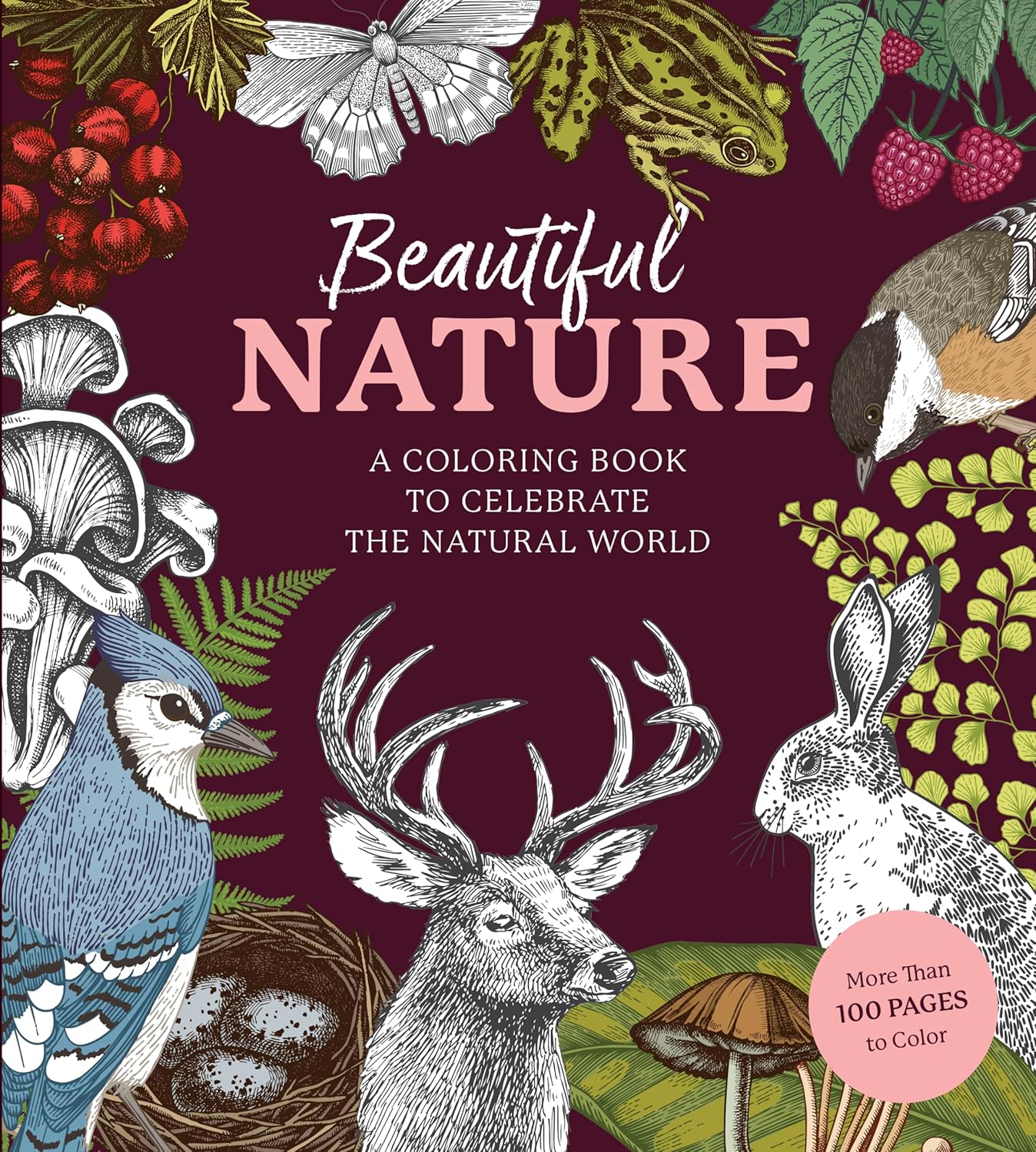 Beautiful Nature Coloring Book: A Coloring Book to Celebrate the ...