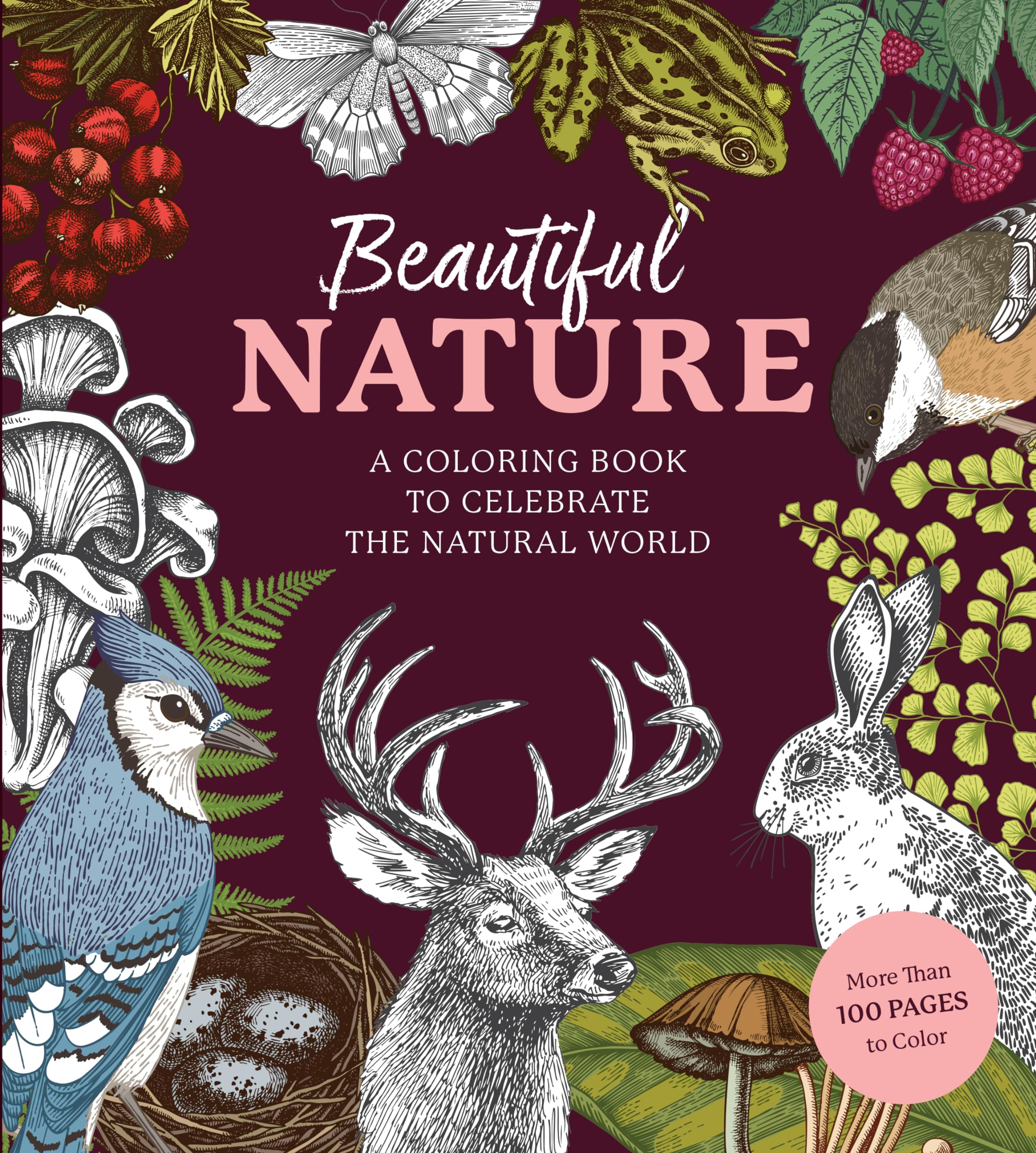 Amazon.com: Beautiful Nature Coloring Book: A Coloring Book to ...