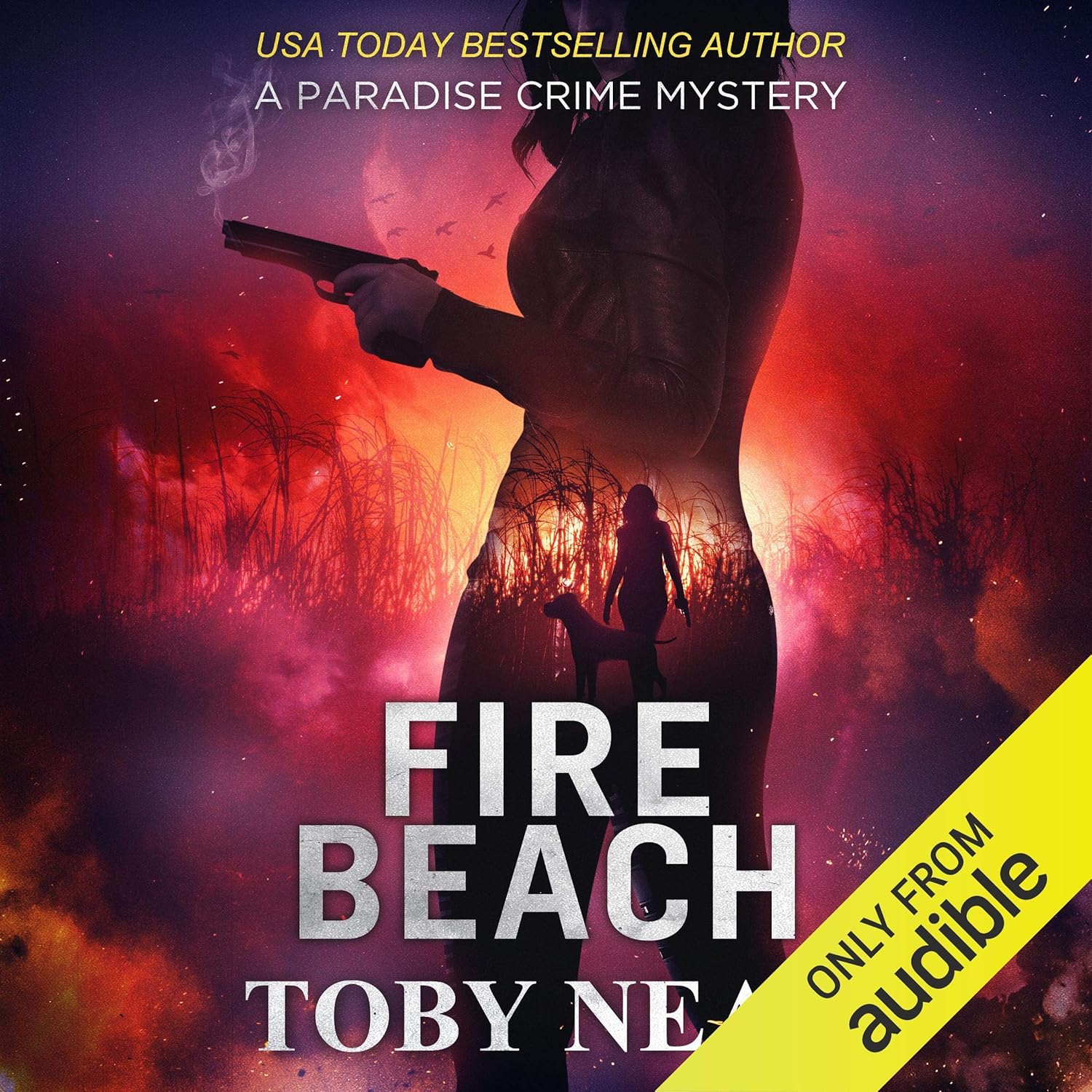 Amazon.com: Fire Beach: (Paradise Crime Mysteries, Book 8) (Audible ...