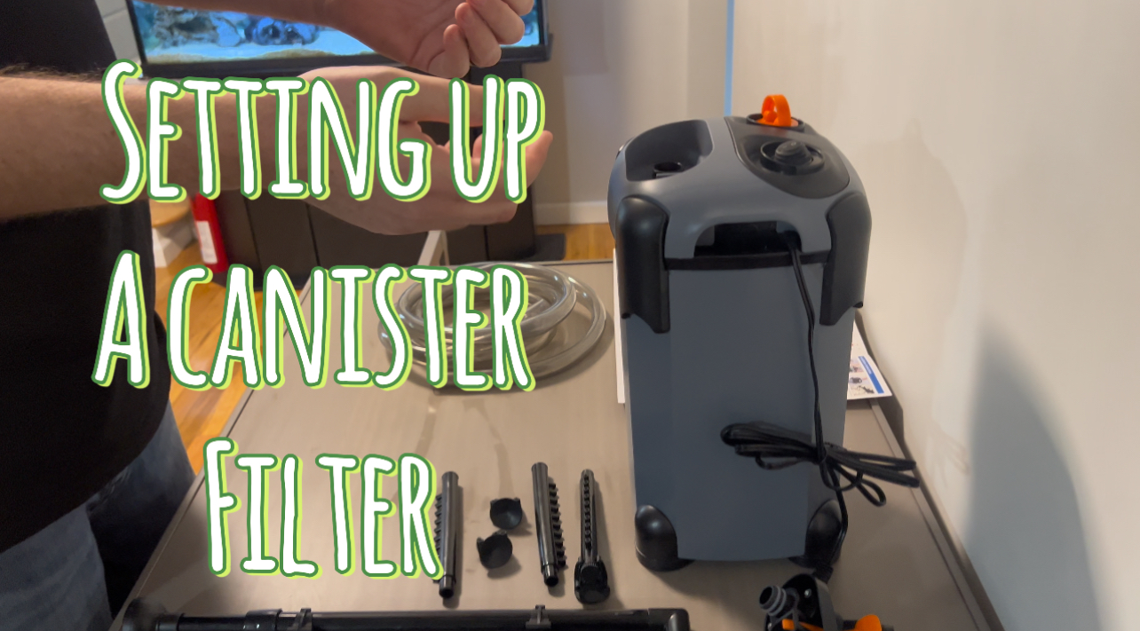 Watch Everything included. Fast set up. Quiet machine #ad on Amazon Live