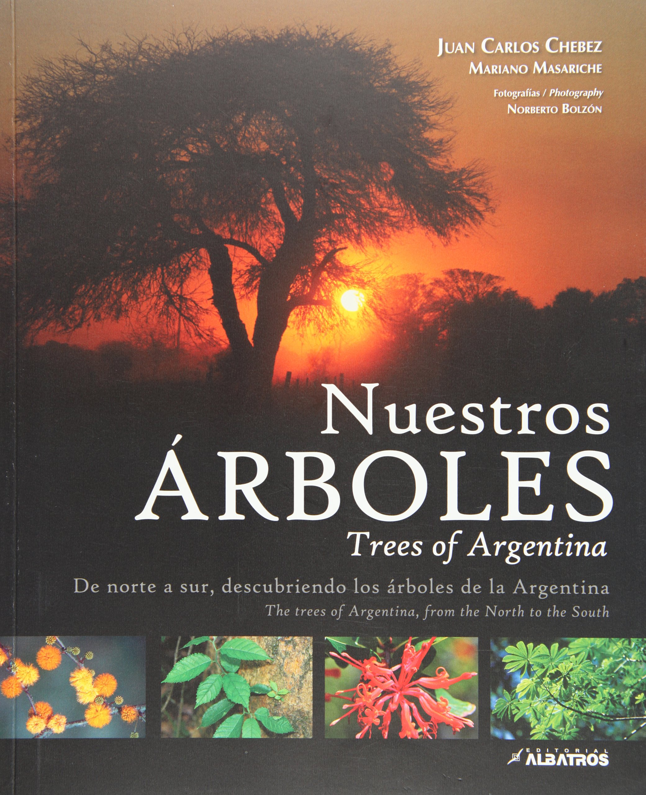 Nuestros Arboles De Norte A Sur Descubriendo Los Arboles De | Desertcart GB