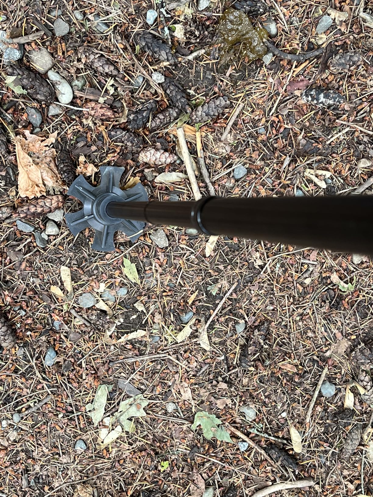 walking cane for men and walking canes for women - by medical king ...