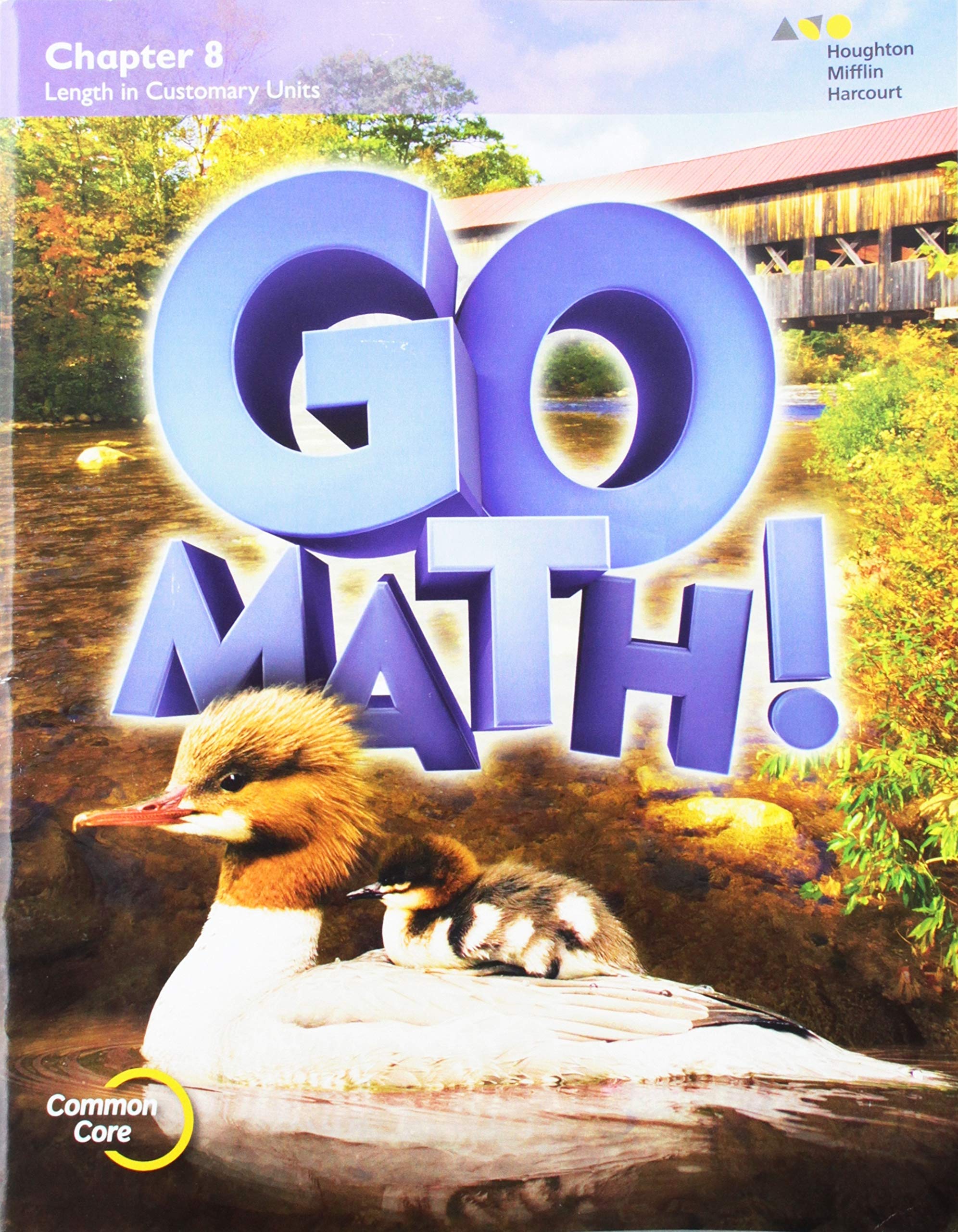 Go Math! Grade 2: Chapter 8: Houghton Mifflin Harcourt: 9780544342040 ...
