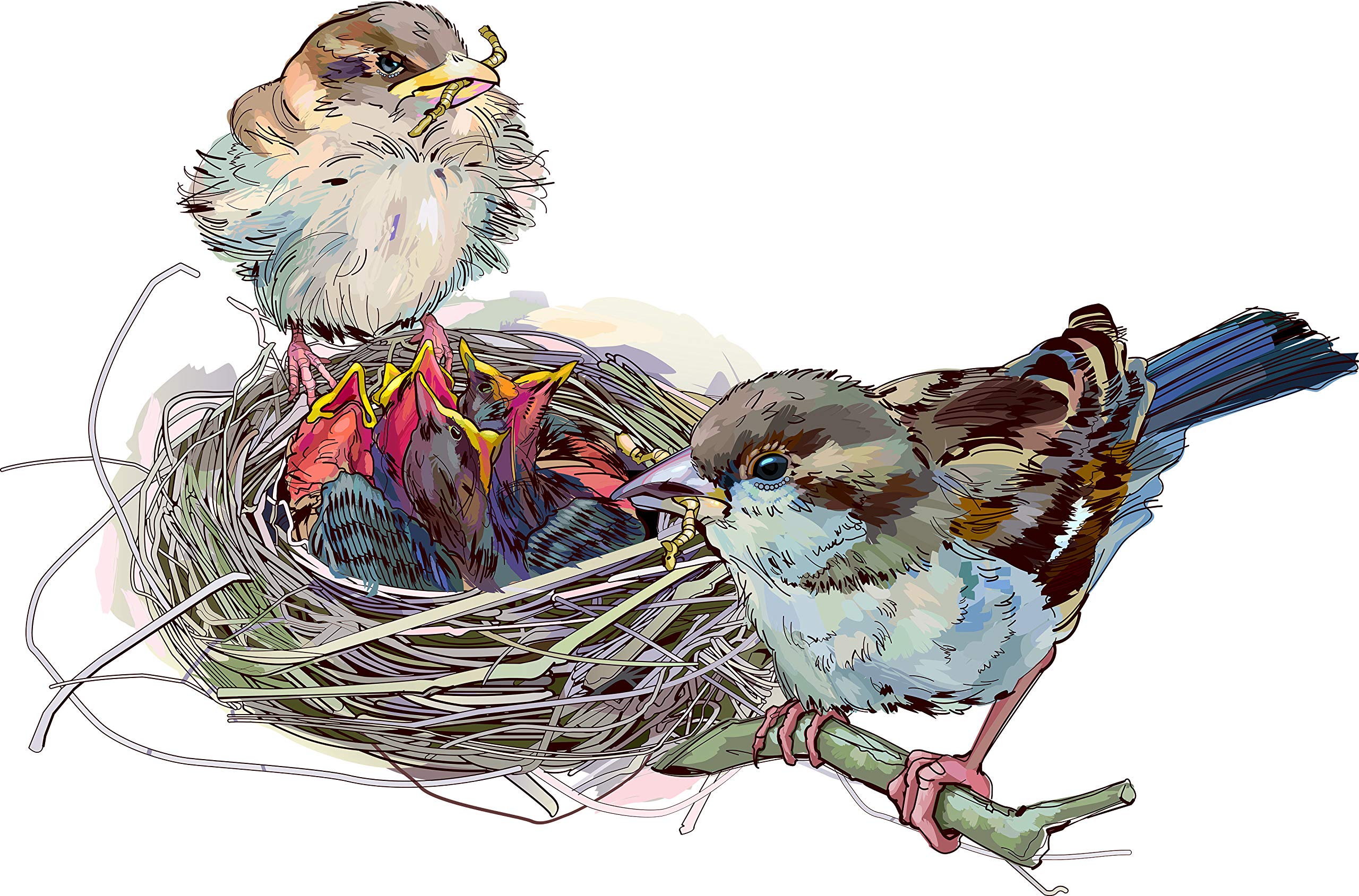 How To Draw A Realistic Bird Nest