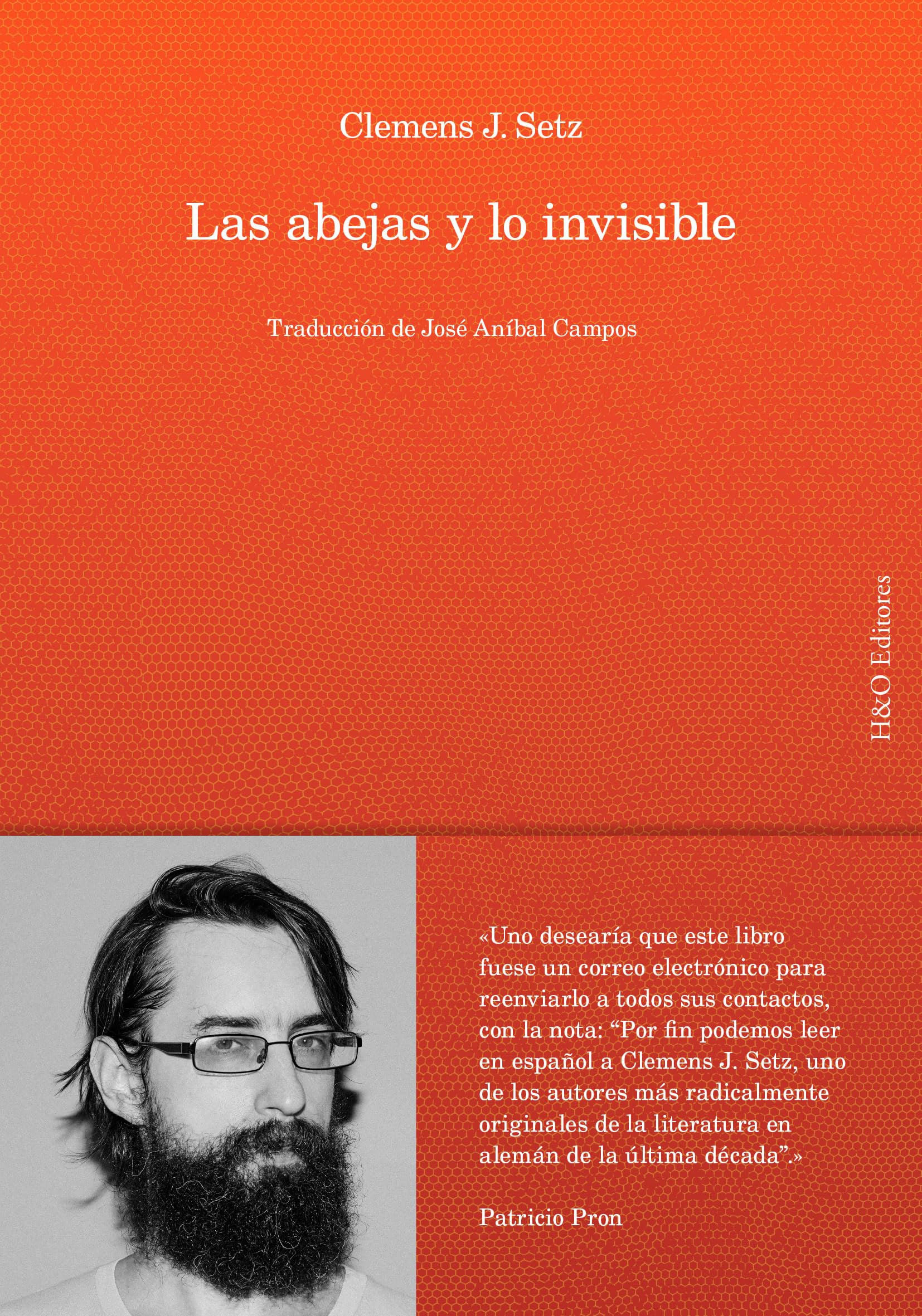 Las abejas y lo invisible: J. Setz, Clemens, Aníbal Campos, José ...