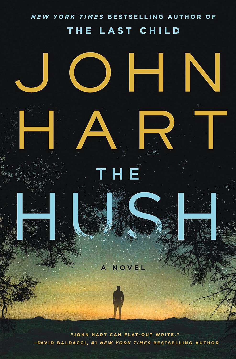 The Hush: A Novel: Hart, John: 9781250012302: Amazon.com: Books