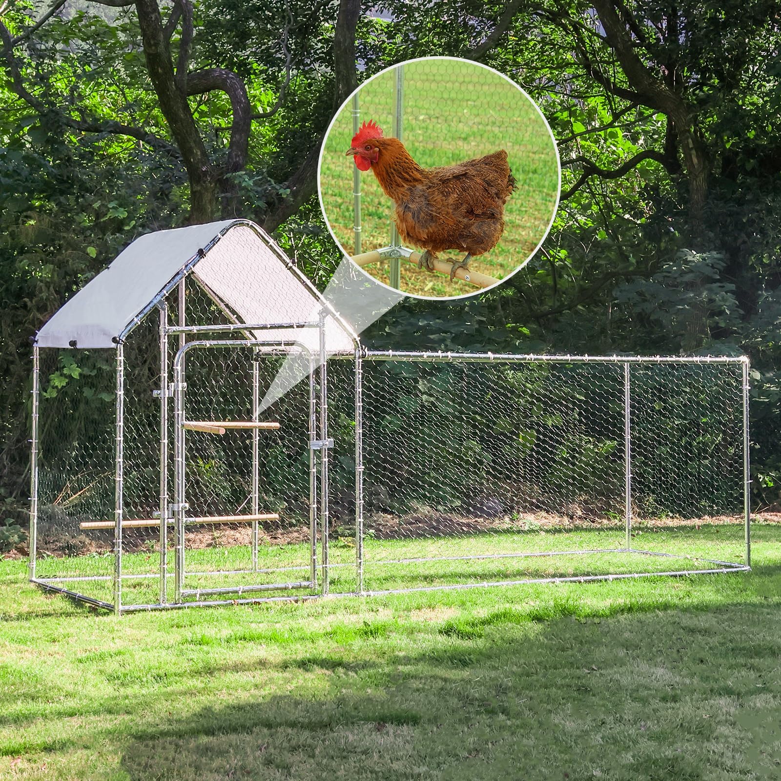 Amazon.com: Large Metal Chicken Coop Run with Climbing Frame, Outdoor ...