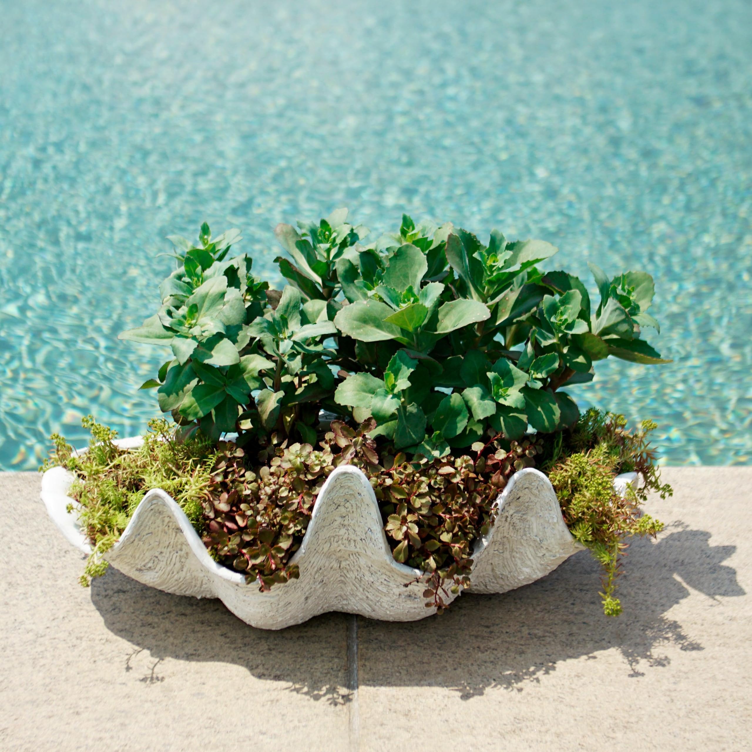 Amazon.com : Martha Stewart 32" Seashell Planter : Patio, Lawn & Garden