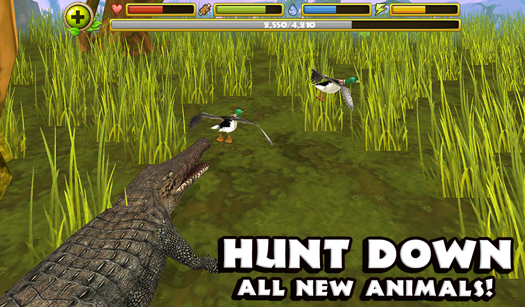 Wildlife Simulator: Crocodile - App on the Amazon Appstore