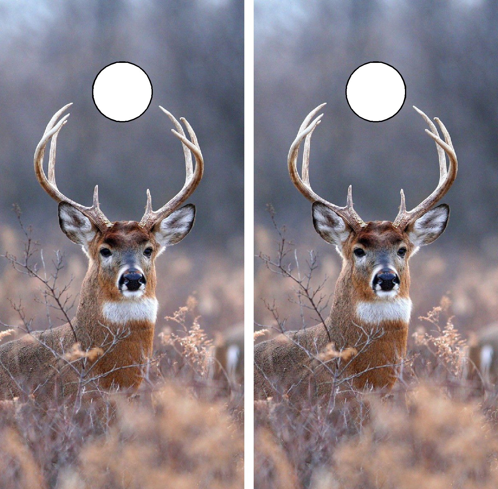 Amazon.com: C232 Deer Hunting Buck Cornhole WRAP Wraps Laminated Board ...