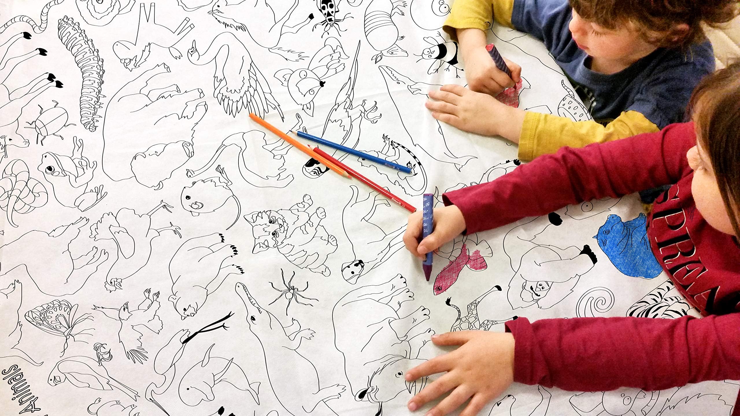 Amazon.com: PurplePatches Rectangular Coloring Paper Table Cover - My ...