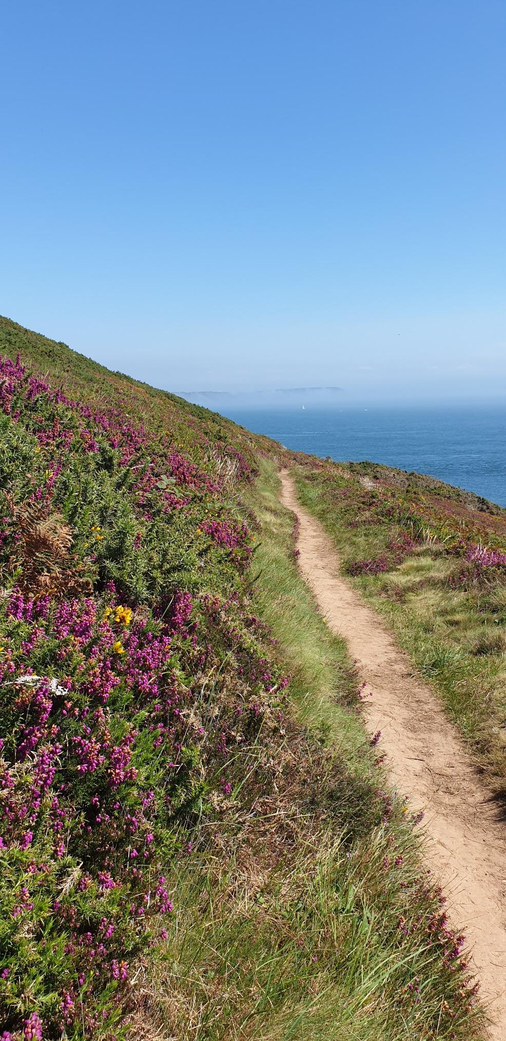 Gower / Gwyr Map | Llanelli | Ordnance Survey | OS Explorer Map 164 ...