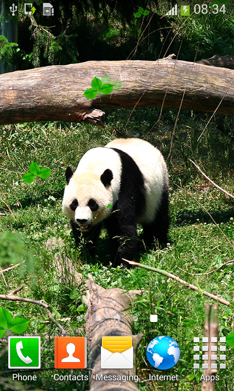 Panda Live Wallpapers Panda Wallpapers: Free HD Download [500+ HQ]