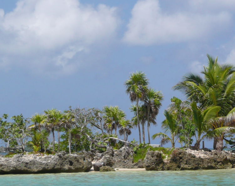 A Map and a Mule: A Peace Story of Queen Isabel of Portugal: Timar ...