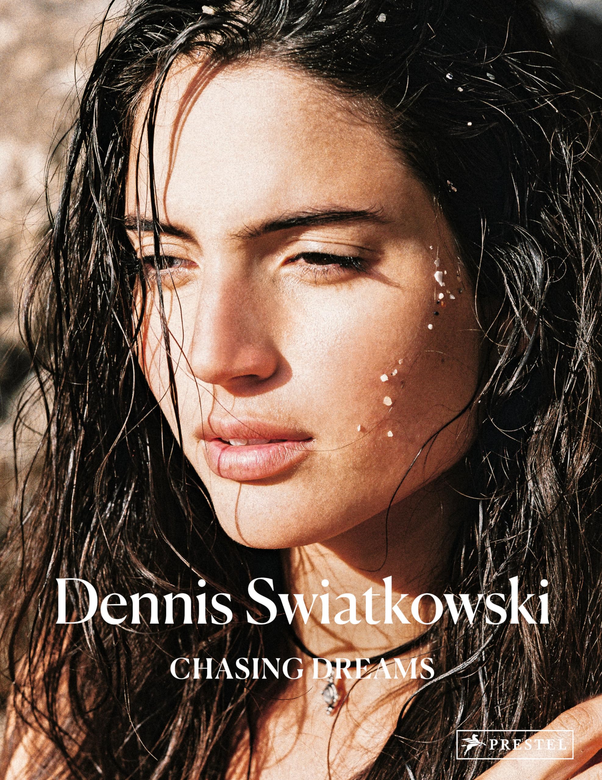 Amazon.com: Dennis Swiatkowski: Chasing Dreams: 9783791384269 ...